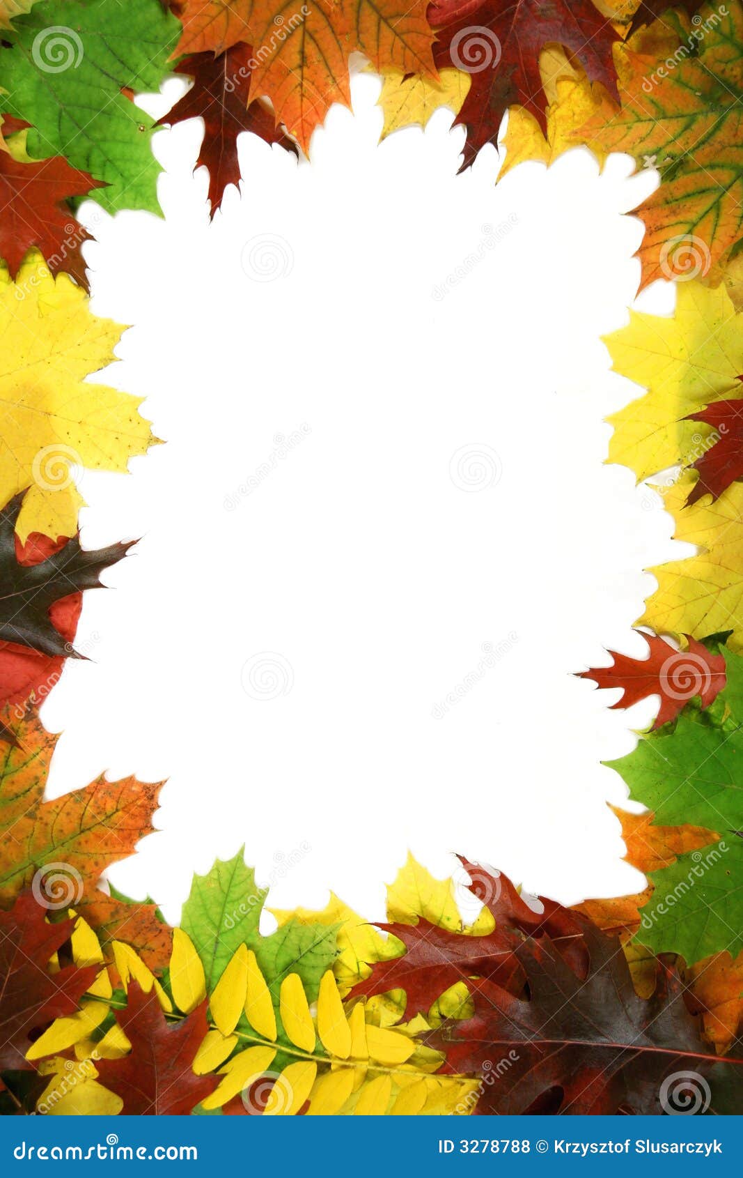 Autumn leaves design stock photo. Image of season, october - 3278788