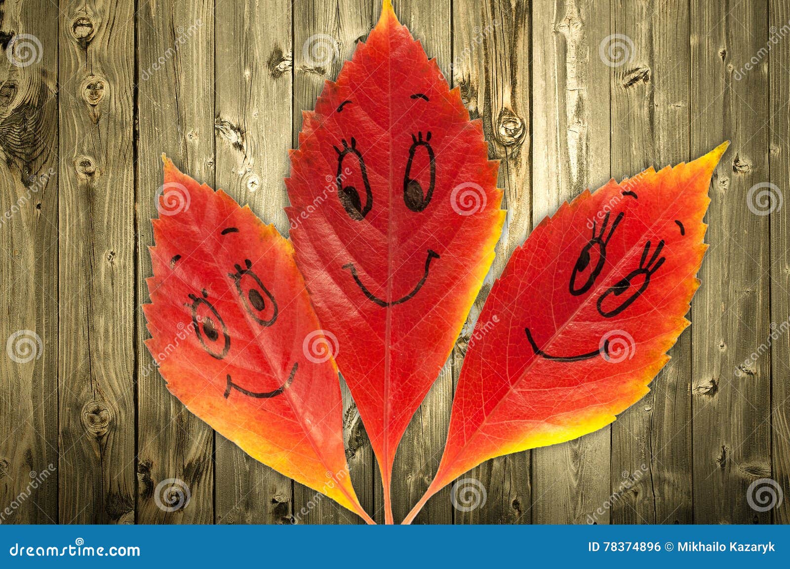 Autumn leaves with a face stock photo. Image of females - 78374896