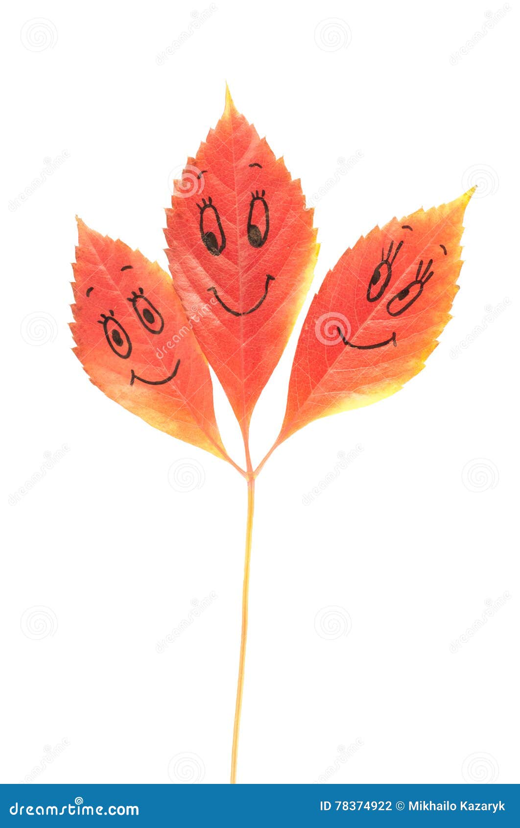 Autumn leaves with a face stock photo. Image of abstract - 78374922