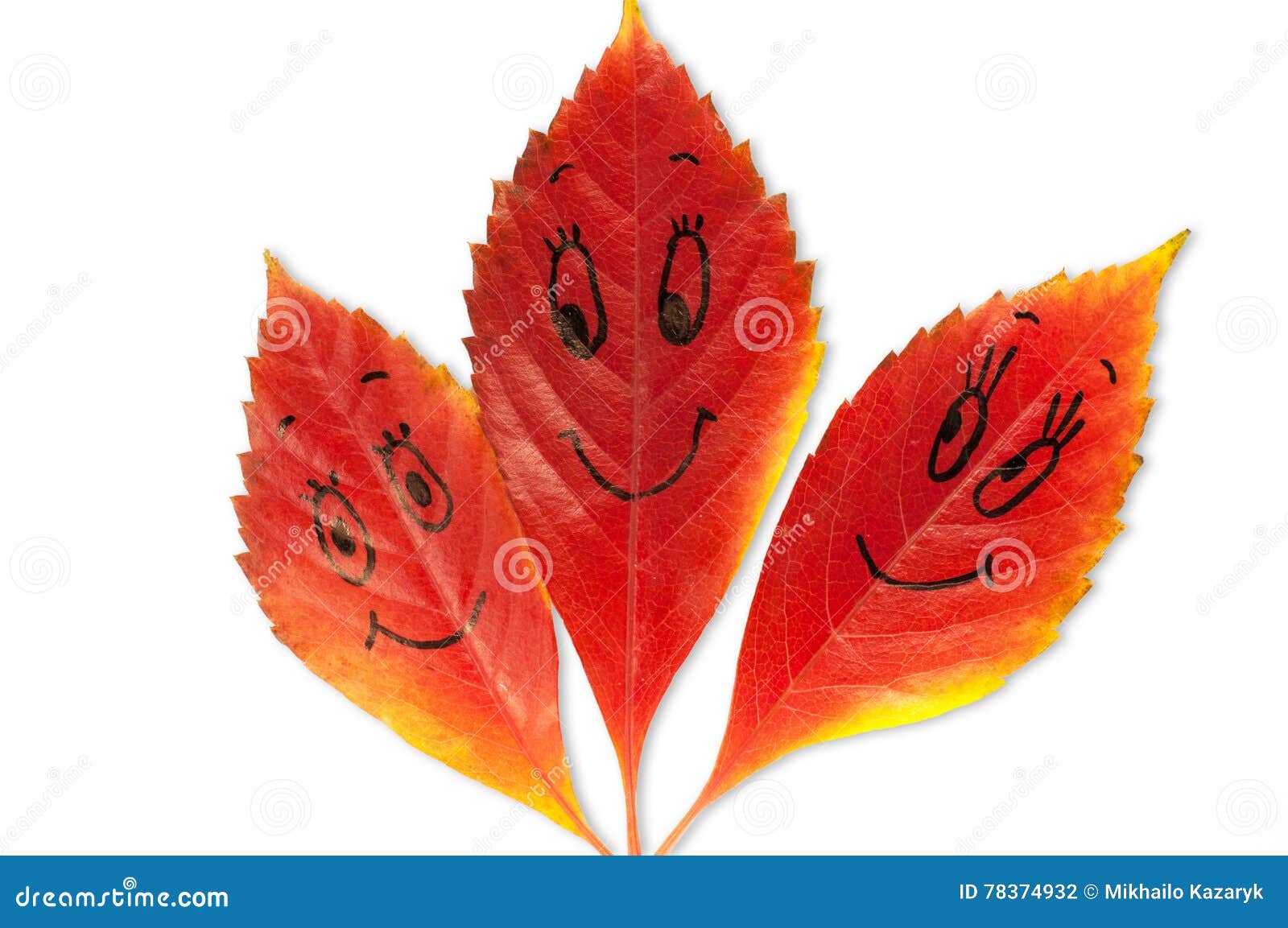 Autumn leaves with a face stock photo. Image of human - 78374932