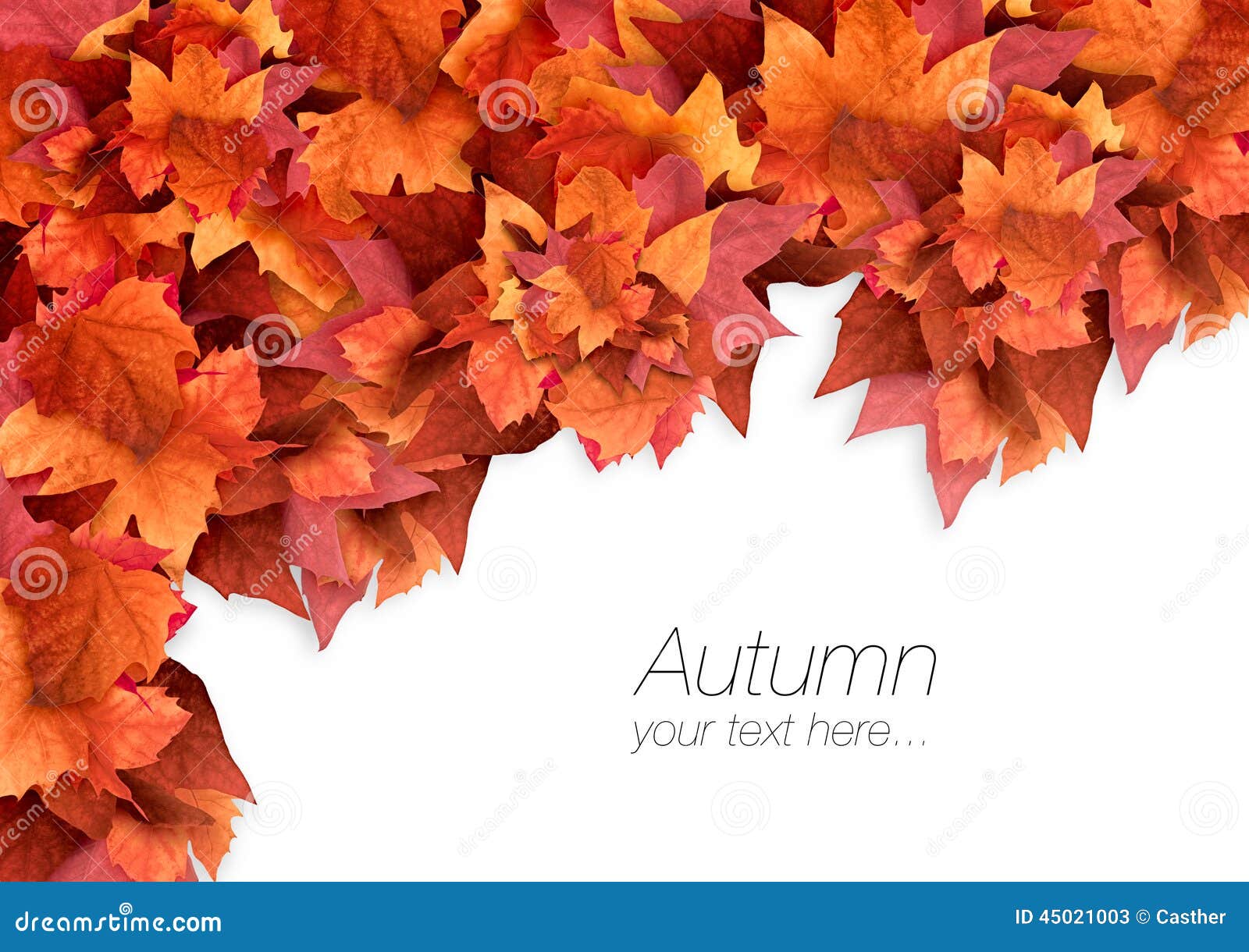 Autumn Leaves. Fall Background Stock Illustration - Illustration of ...