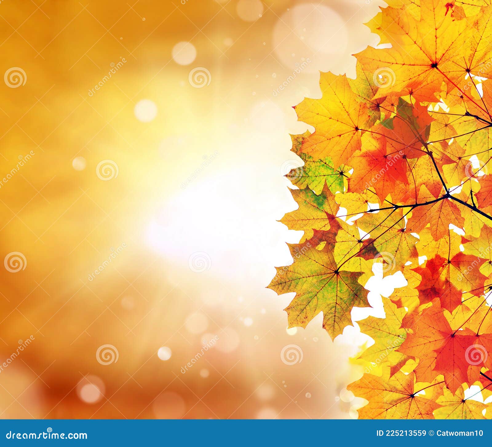 Autumn Leaves on the Fall Blurred Background Stock Image - Image of ...