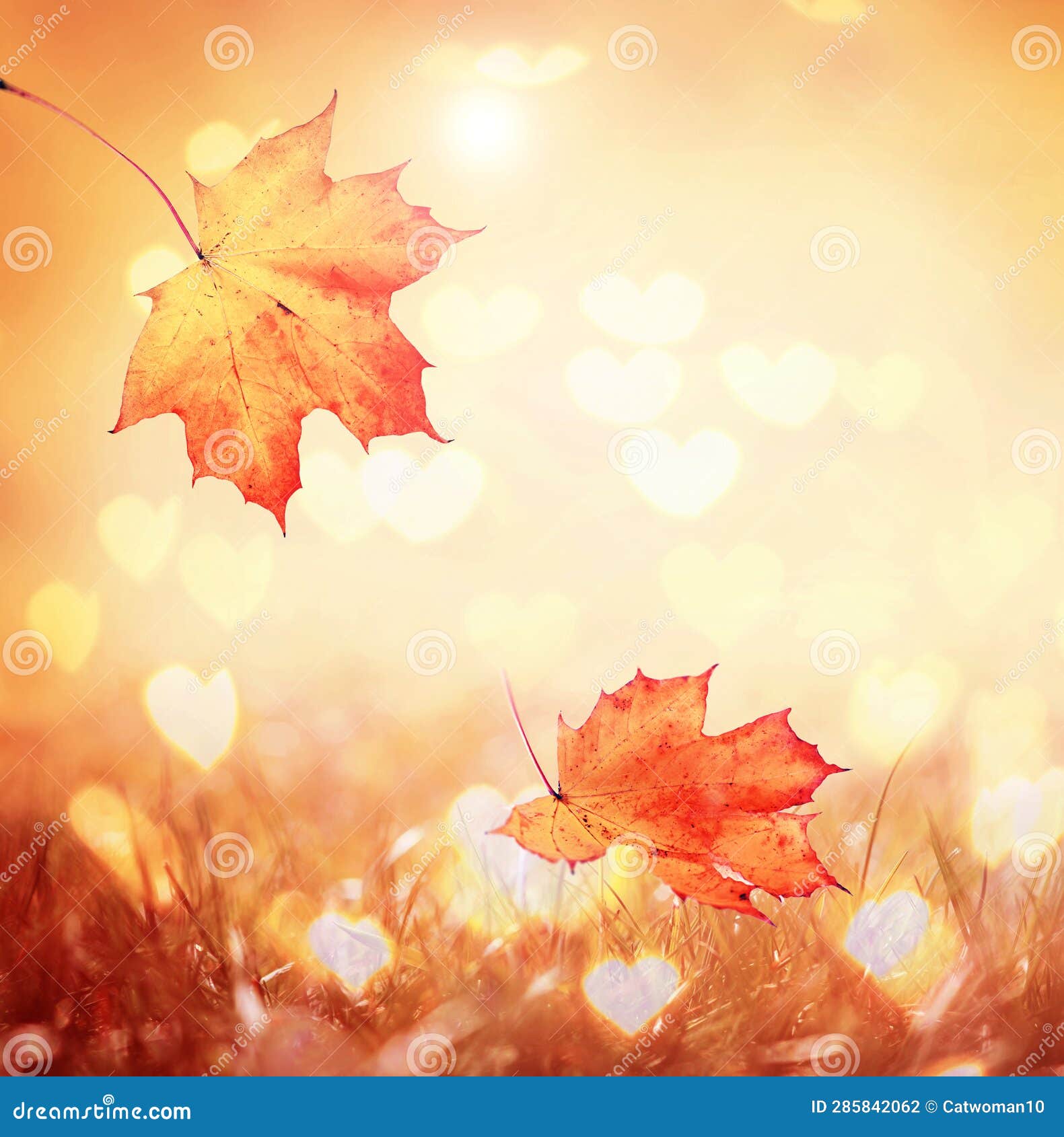 Autumn Leaves on the Fall Blurred Background Stock Photo - Image of ...