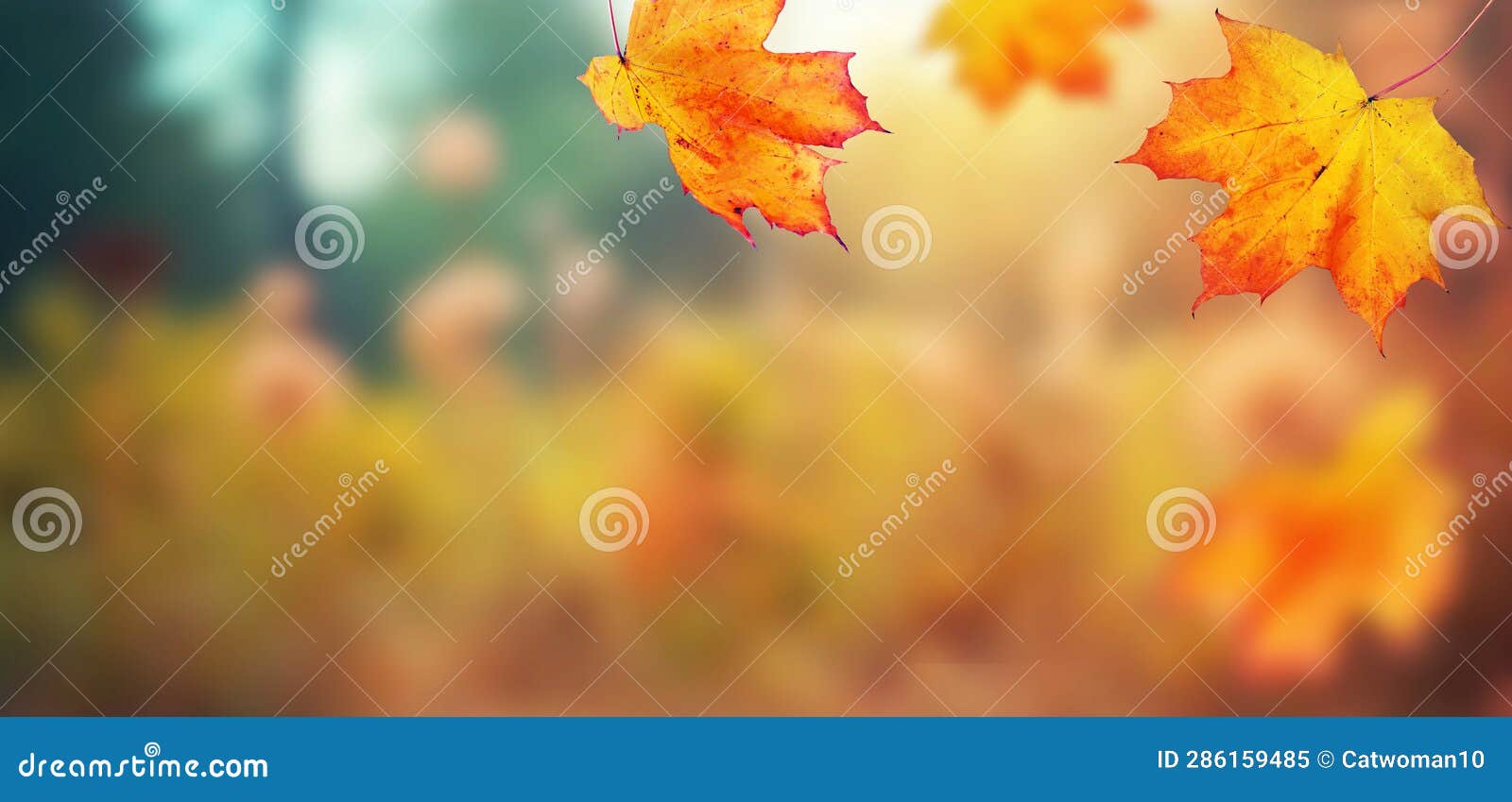 Autumn Leaves on the Fall Blurred Background Stock Image - Image of ...