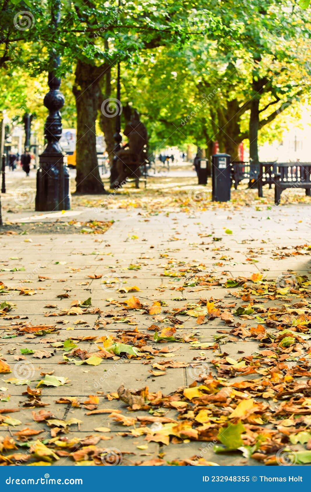 Autumn Leaves Fall on the Town Centre Pavement during a Sunny Day Stock ...