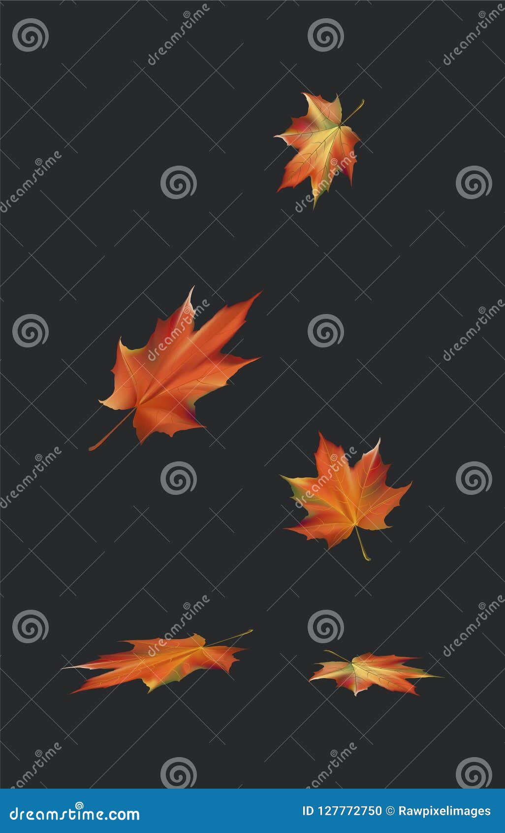Autumn Leaves Falling on Black Background Stock Photo - Image of ...