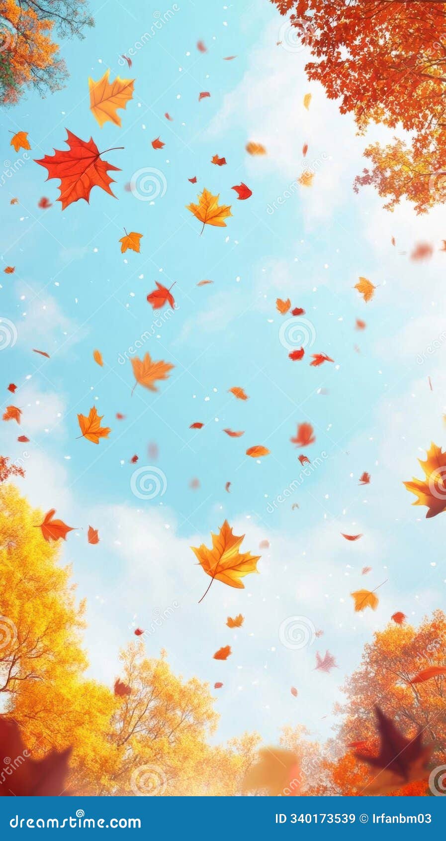 Autumn Leaves Falling - a Breathtaking View of Nature S Transformation ...