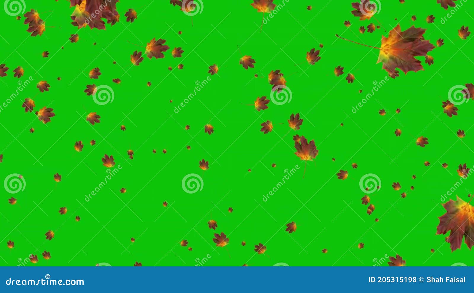 Autumn Leaves Falling on Green Screen Stock Footage - Video of brown ...
