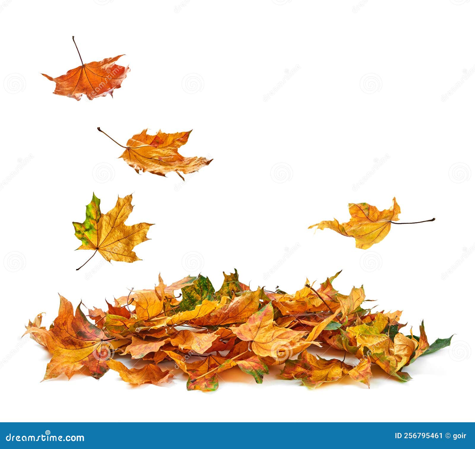 Autumn Leaves Falling in a Pile Stock Image - Image of brown ...