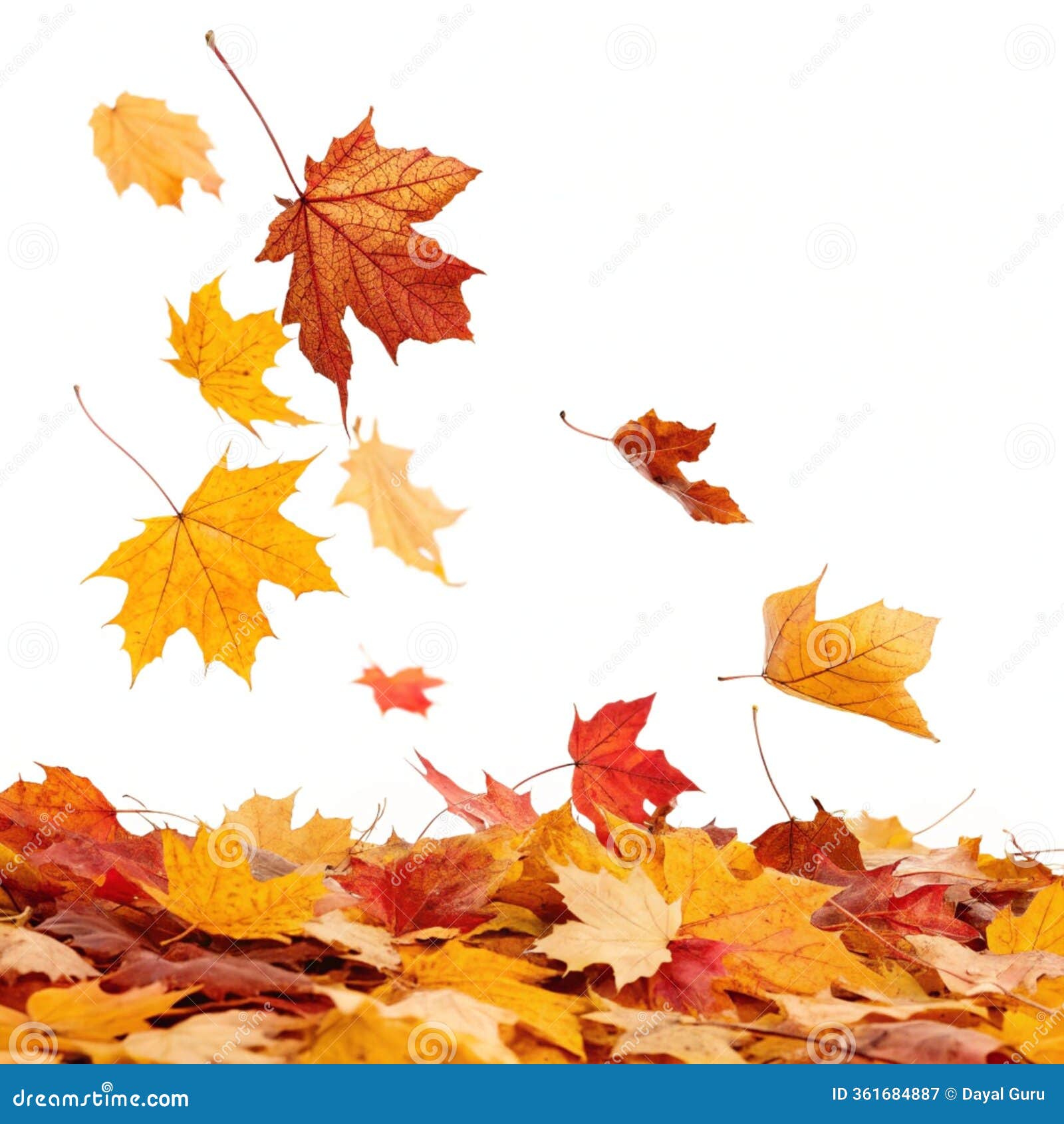 Autumn Leaves Falling on Transparent Background Stock Illustration ...
