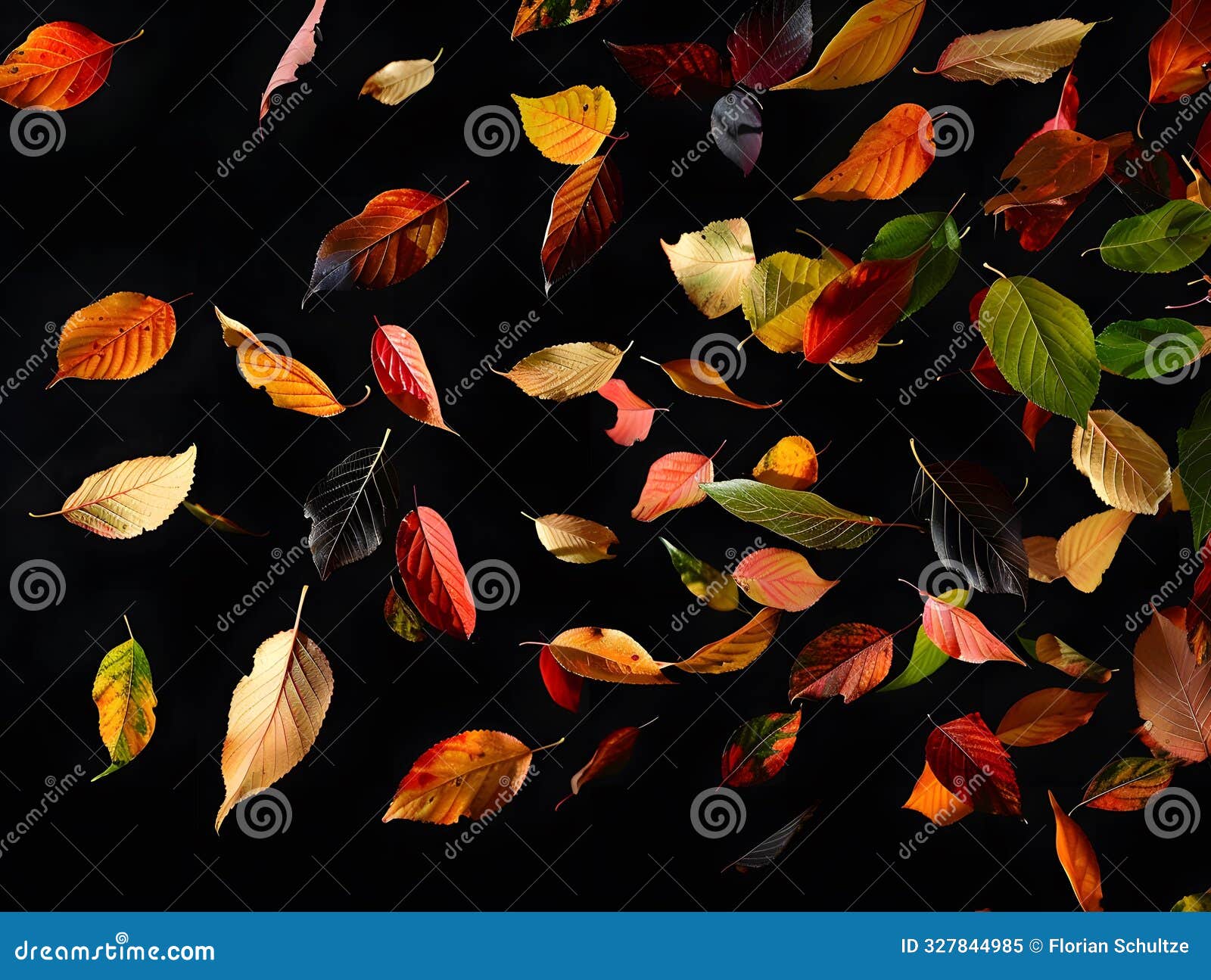 Autumn Leaves Flying and Falling Isolated on Background Stock ...