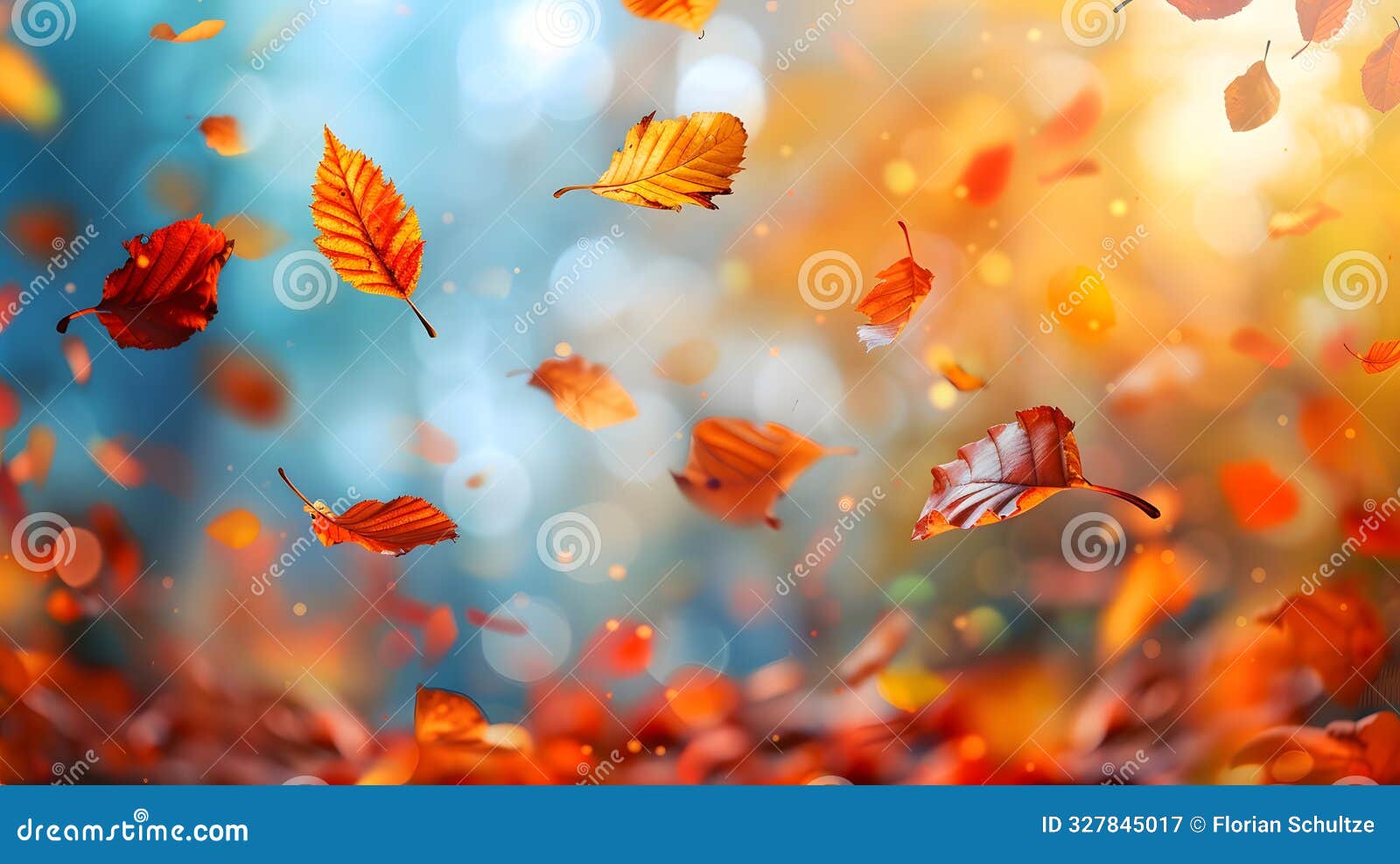 Autumn Leaves Flying and Falling Isolated on Background Stock ...