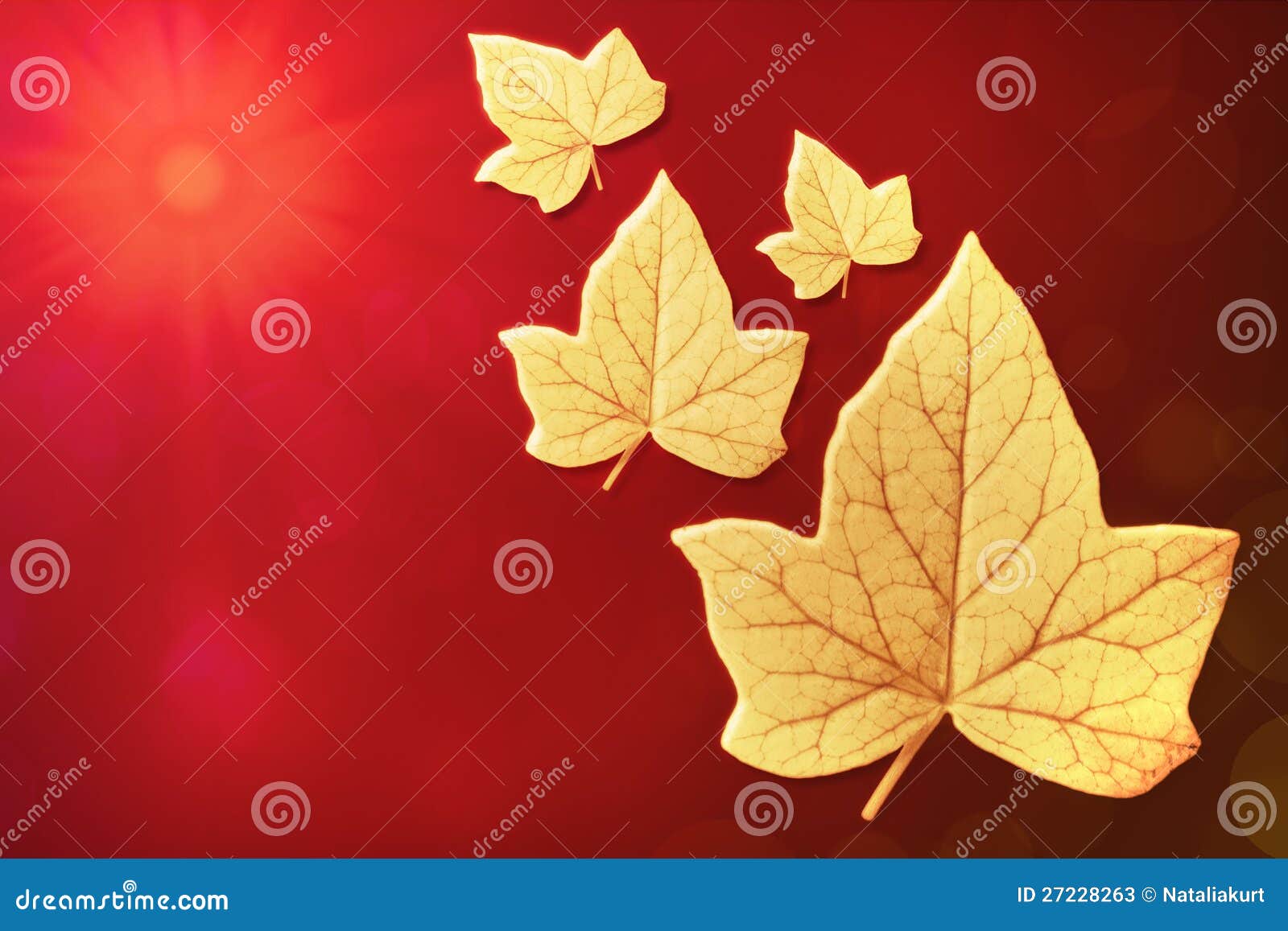 Autumn Leaves Flying To the Sun Stock Image - Image of bright, flying ...