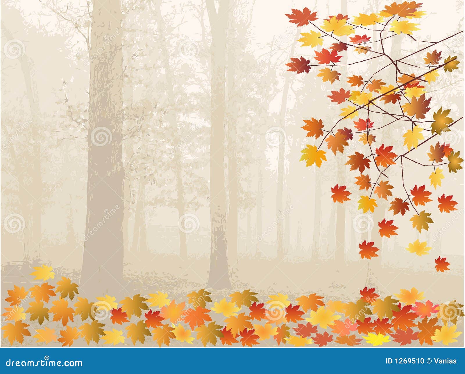 Autumn Leaves and forest stock vector. Illustration of withered - 1269510