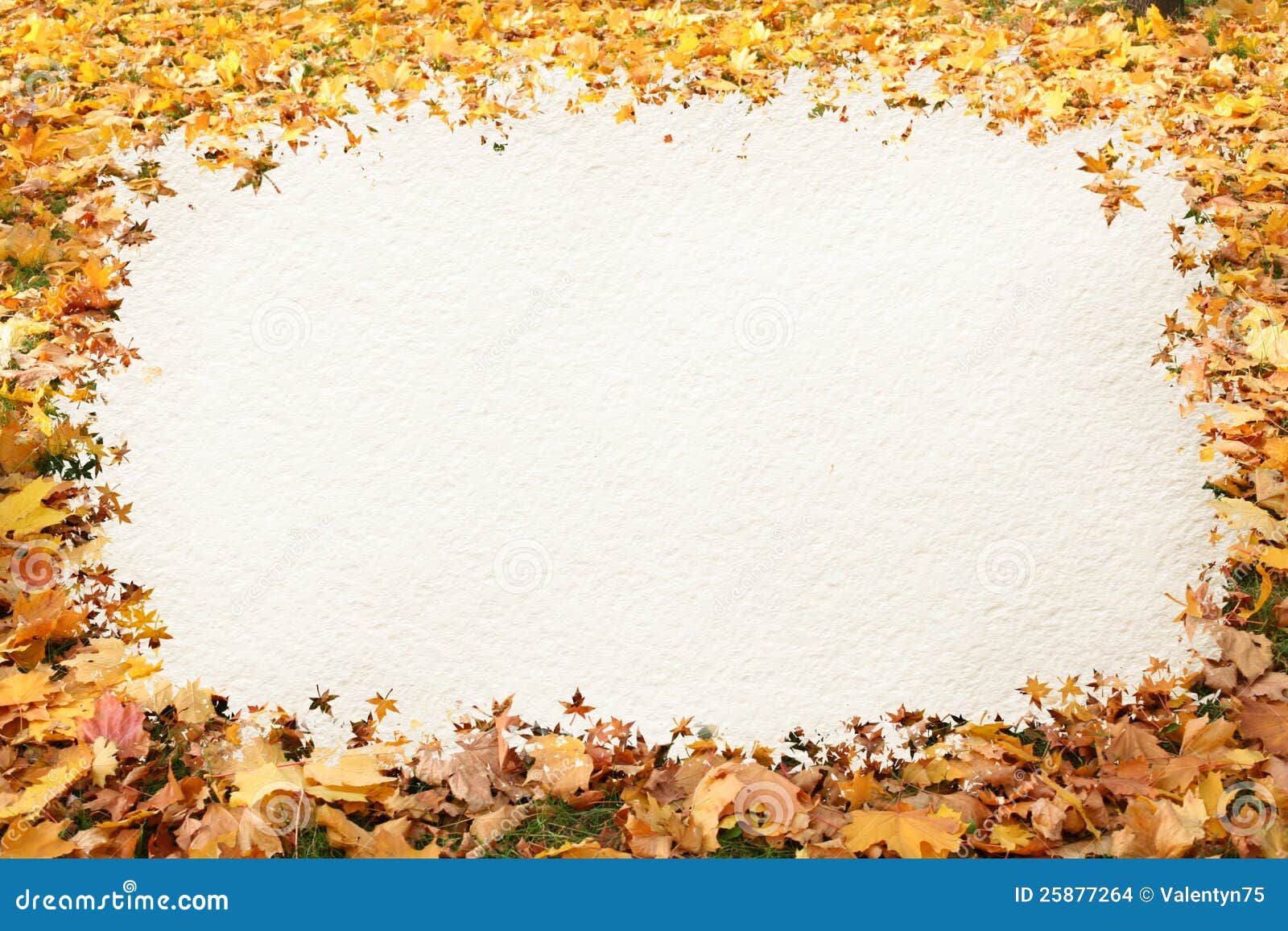 Autumn leaves frame stock photo. Image of november, isolated - 25877264
