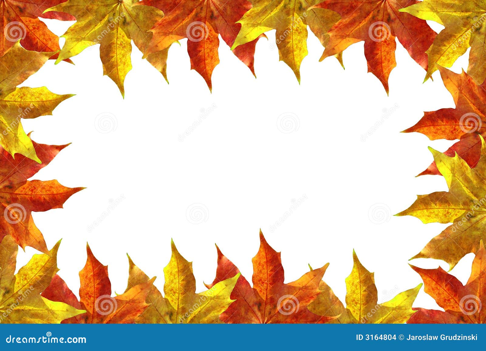 Autumn leaves frame stock photo. Image of leaf, autumn - 3164804