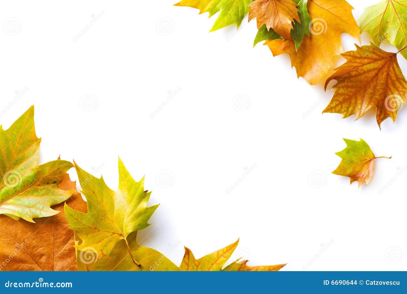 Autumn leaves frame stock photo. Image of closeup, september - 6690644