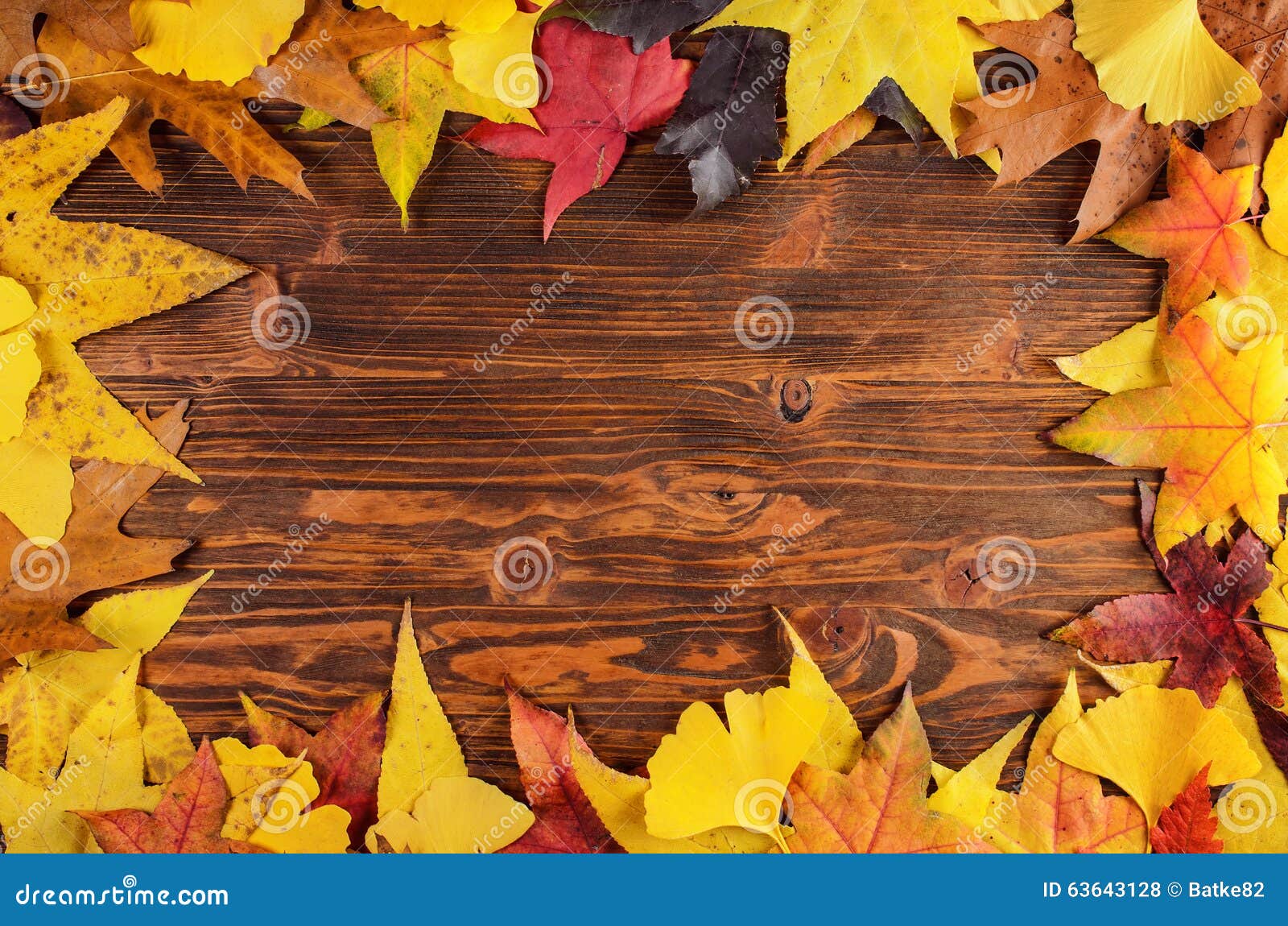 Autumn Leaves Frame Background Stock Photo - Image of concepts ...