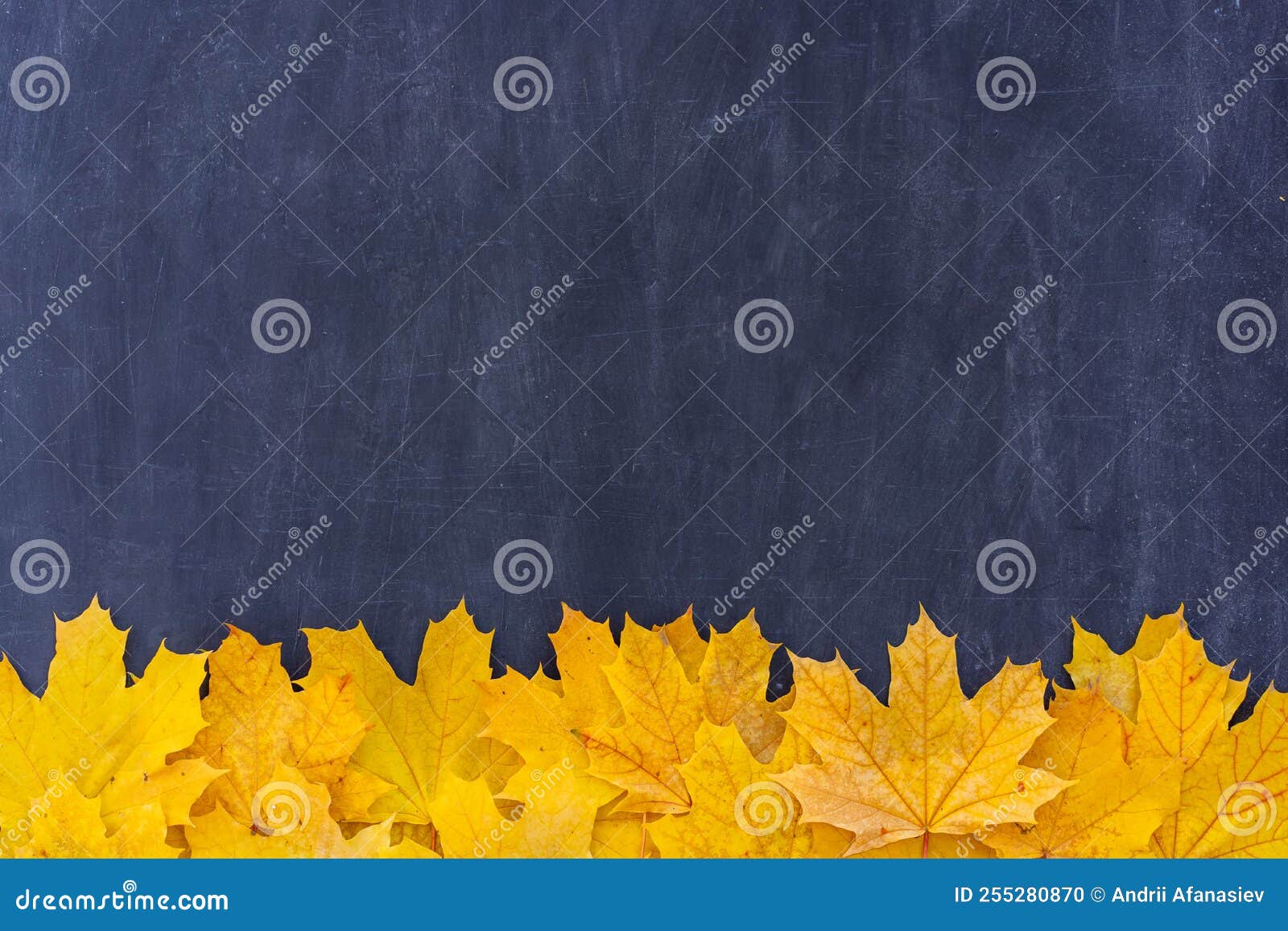Autumn Leaves Frame on Black Background Top View Fall Border Yellow and ...