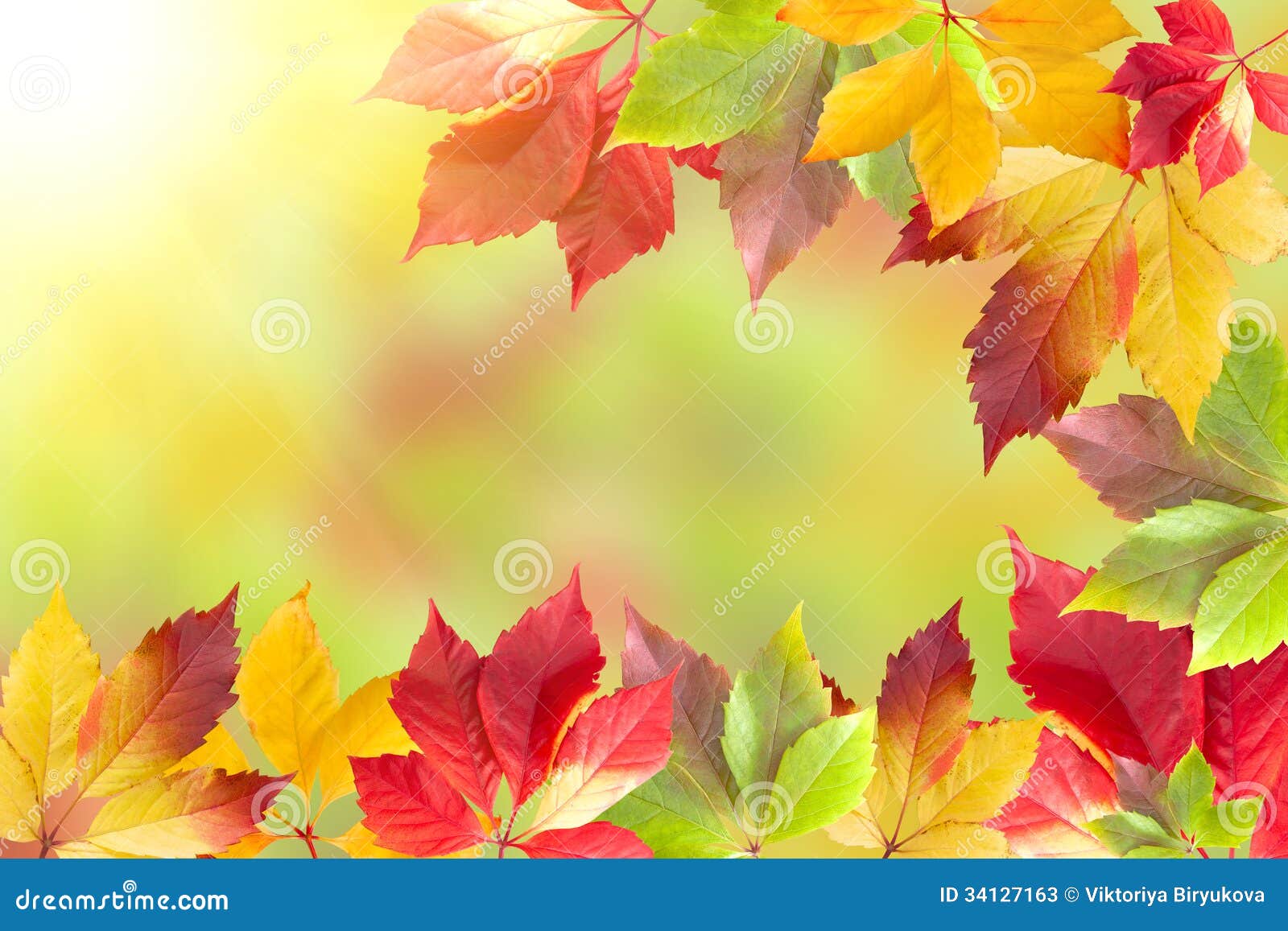 Autumn leaves stock image. Image of nature, maple, backgrounds - 34127163