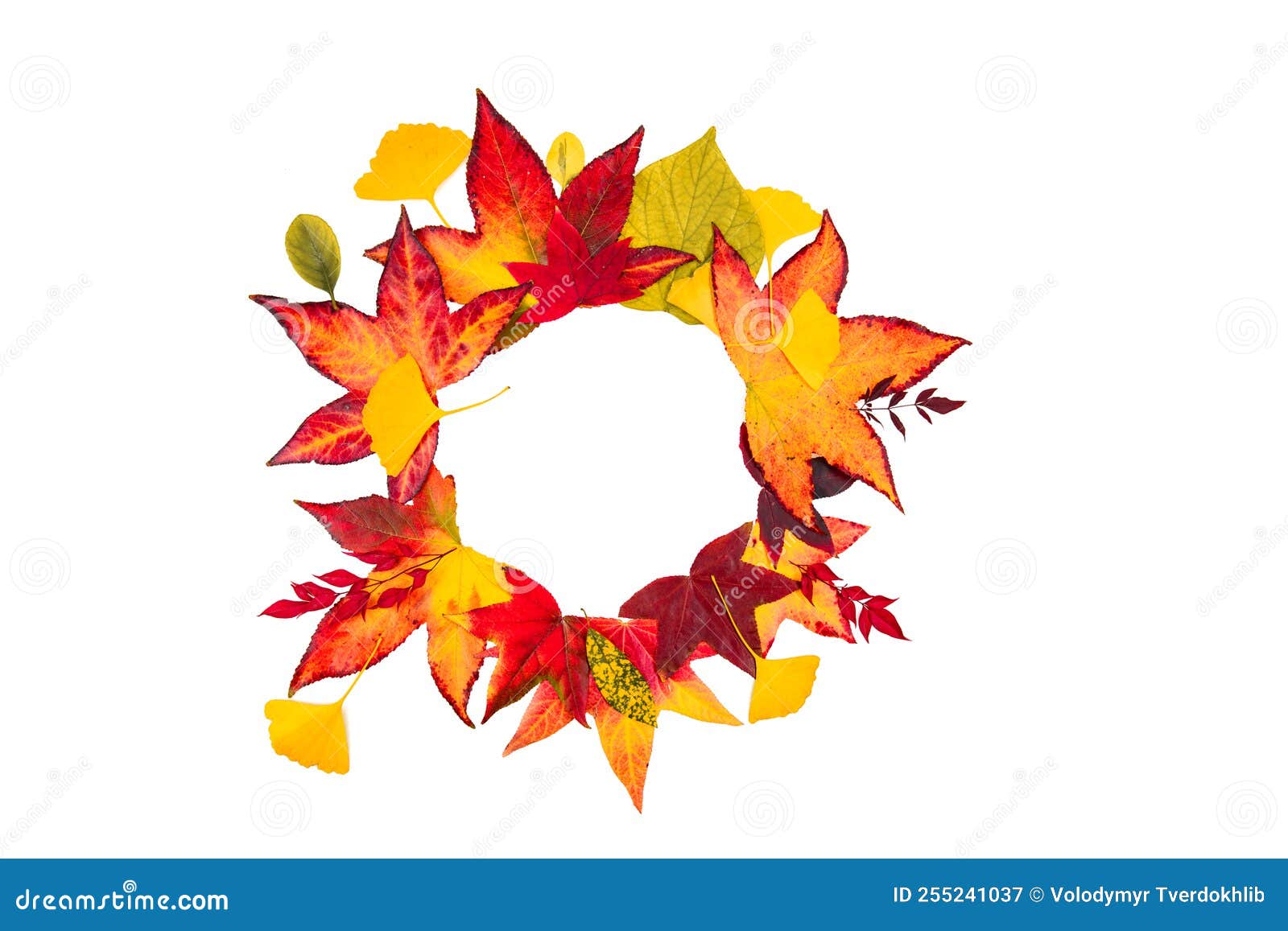 Autumn Leaves Frame. Fall Leaf Border, Autumnal Background. Autumn ...