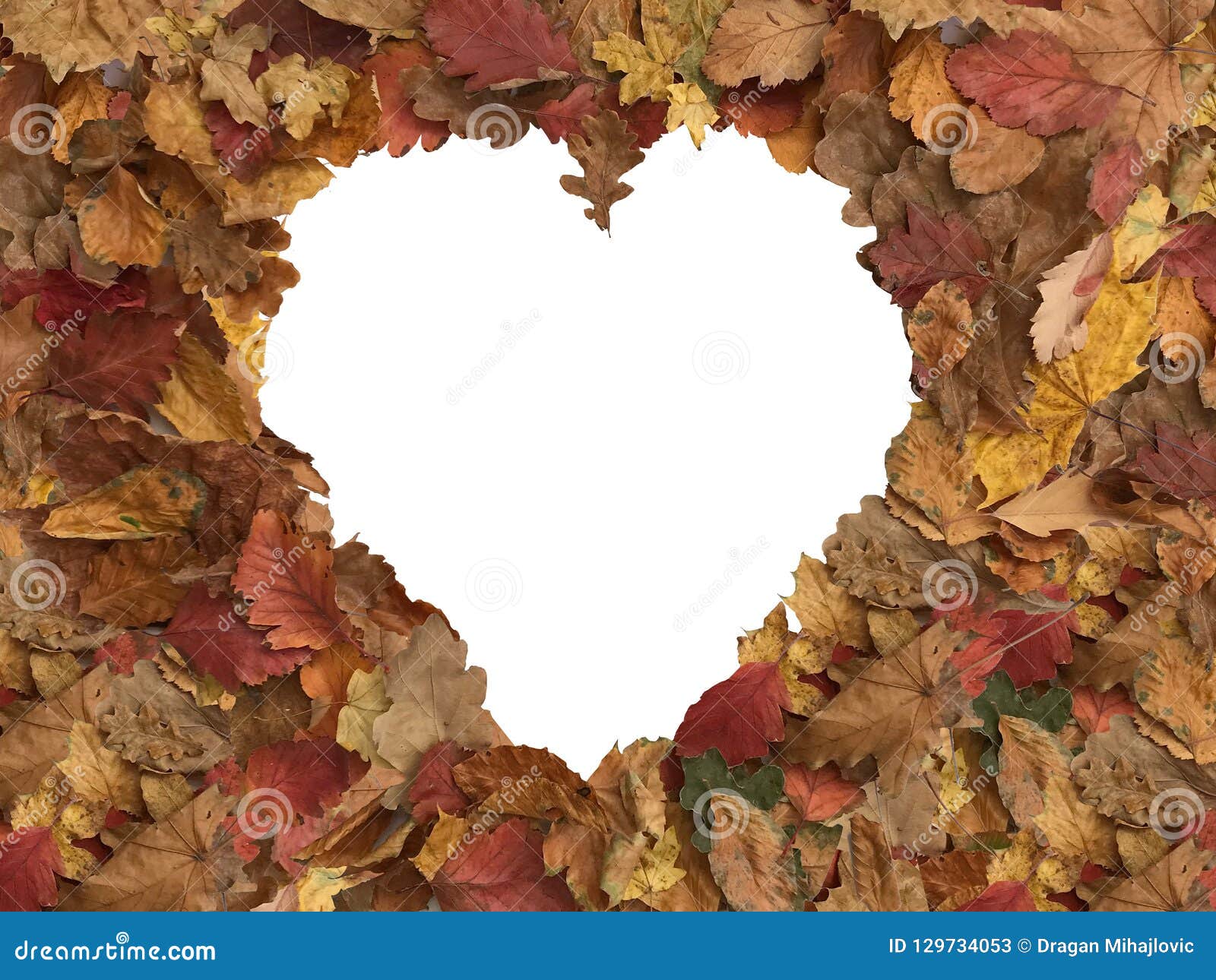 Autumn Leaves Frame Heart Shape Stock Image - Image of heart, brown ...