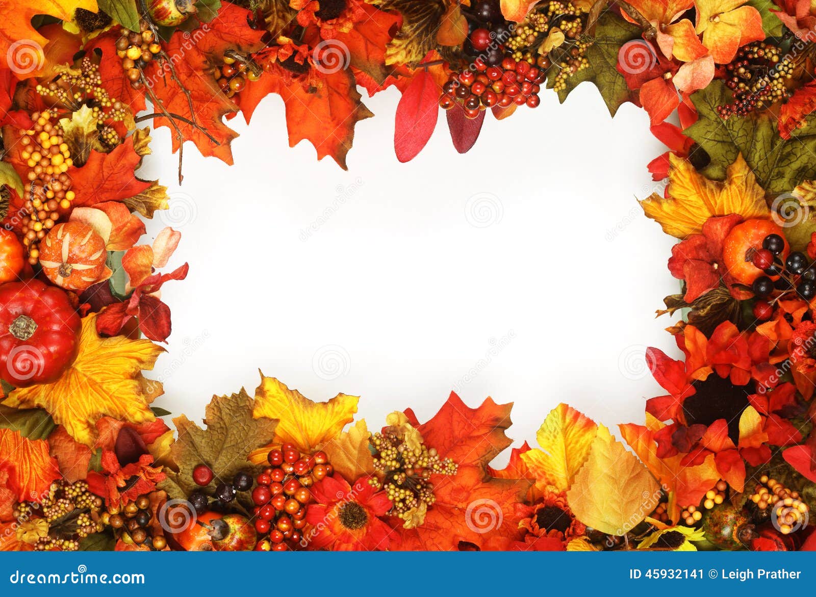 Autumn leaves frame stock image. Image of flowers, seasonal - 45932141