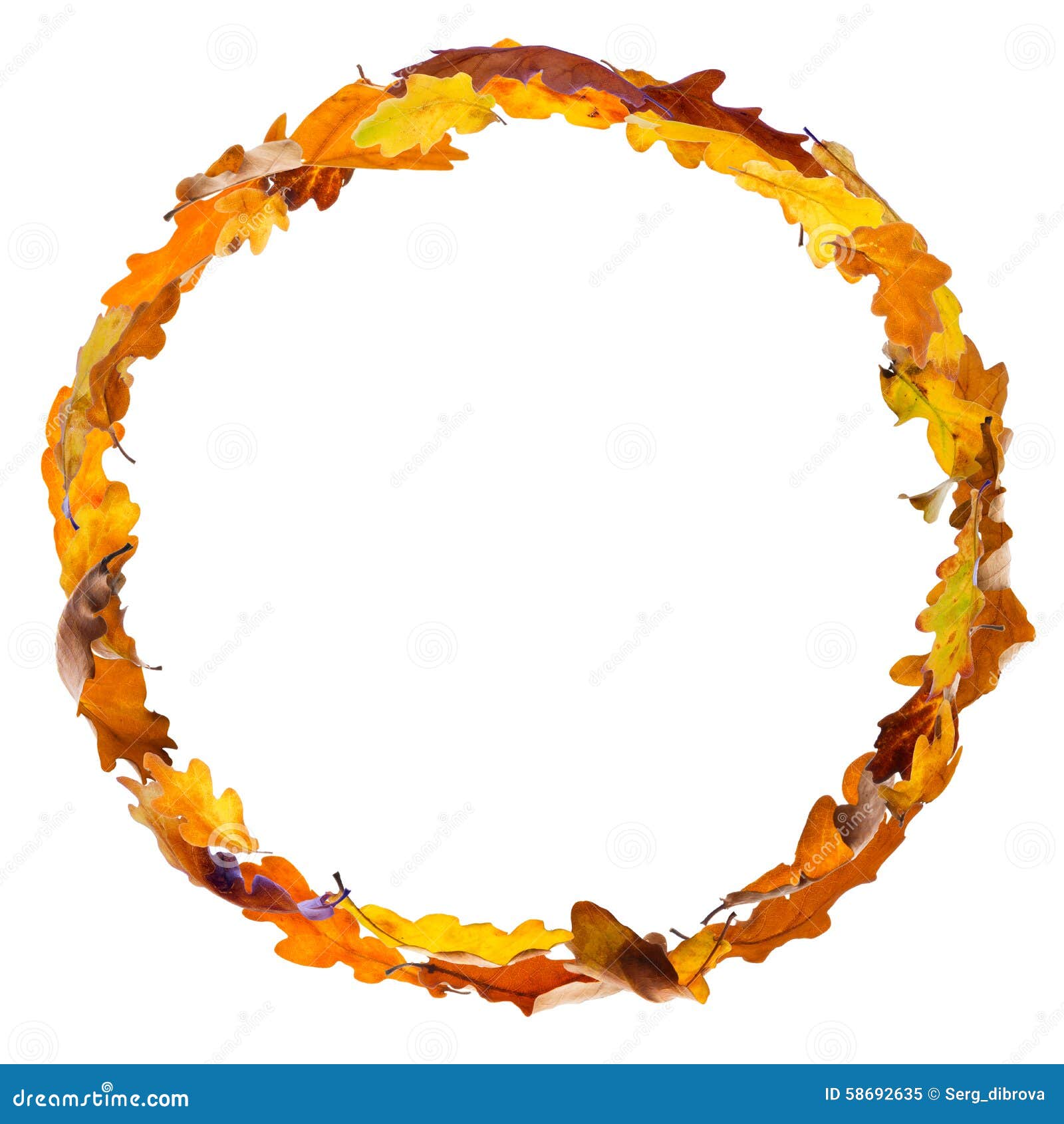 Autumn leaves frame stock illustration. Illustration of flora - 58692635