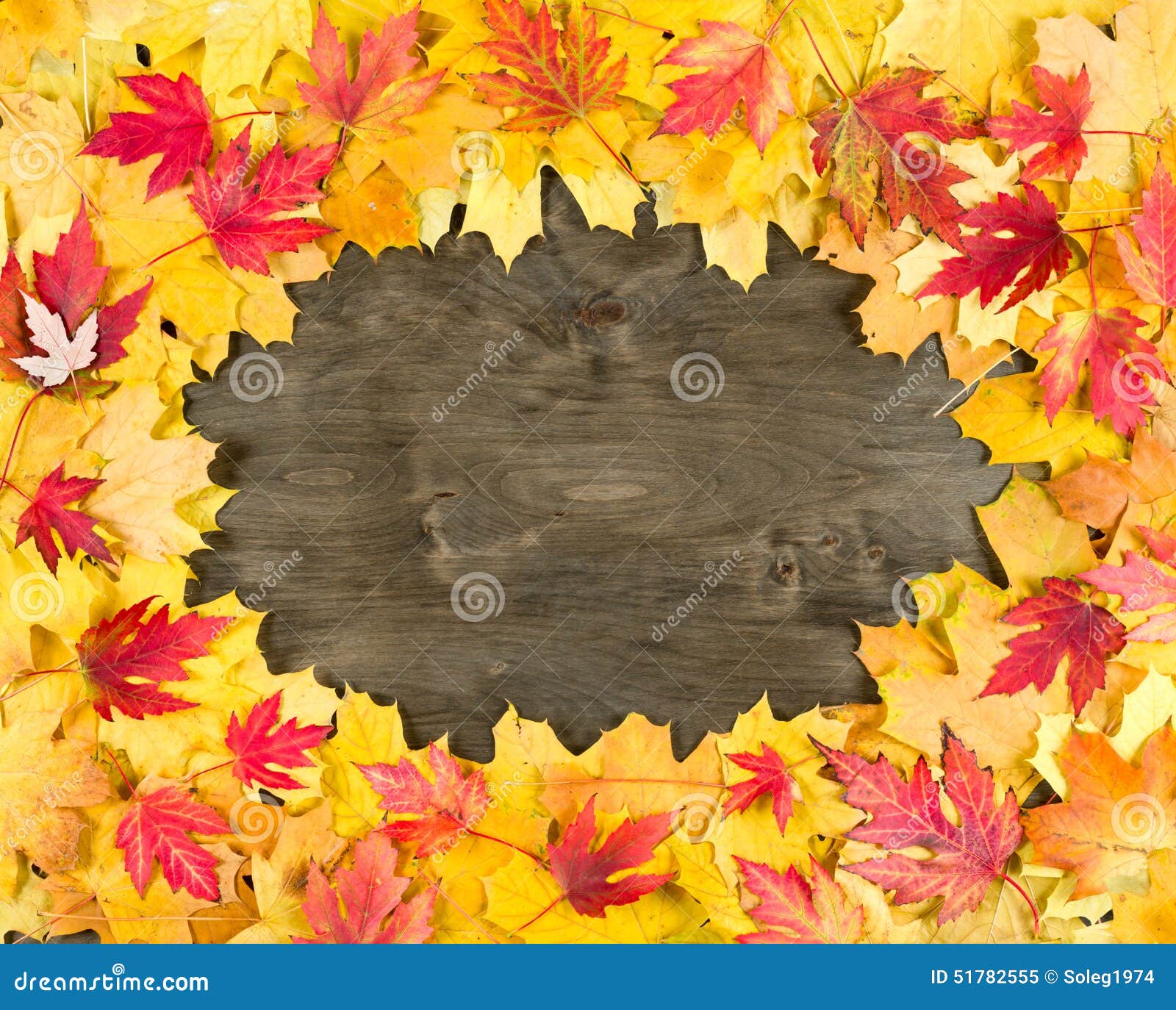 Autumn Leaves Frame on Wood Background Stock Image - Image of bright ...