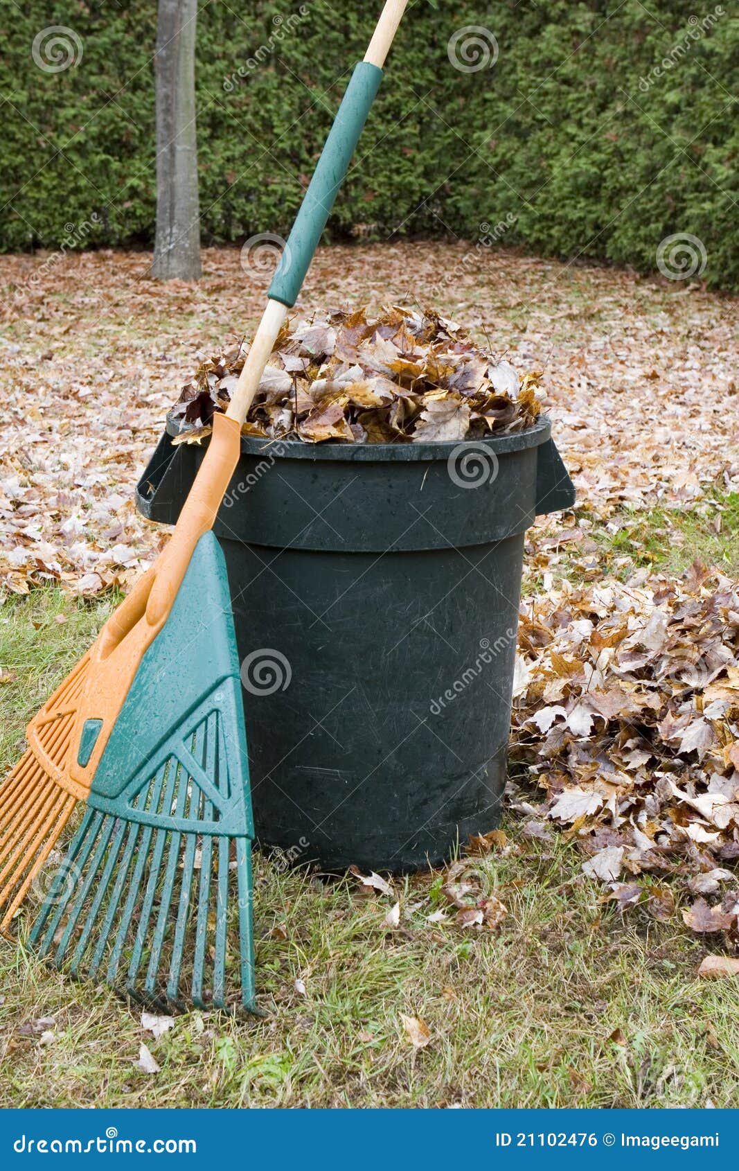 Autumn Leaves in a Garbage Can - Vertical Stock Photo - Image of ...