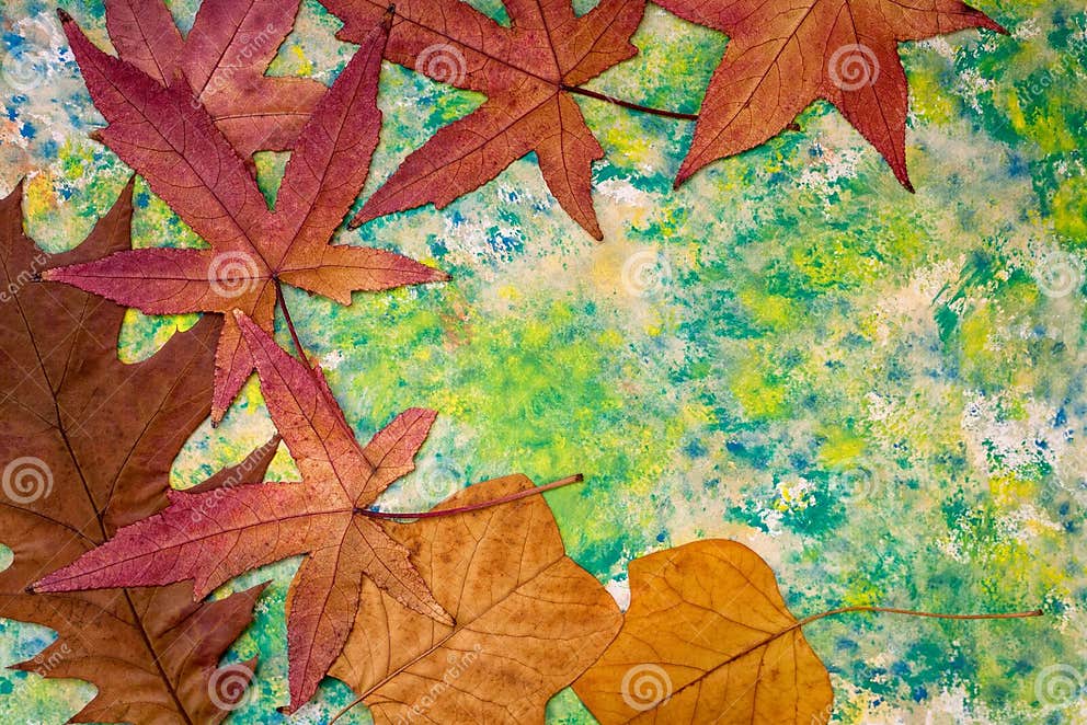 Autumn Leaves on a Green Background Stock Photo - Image of leaves ...