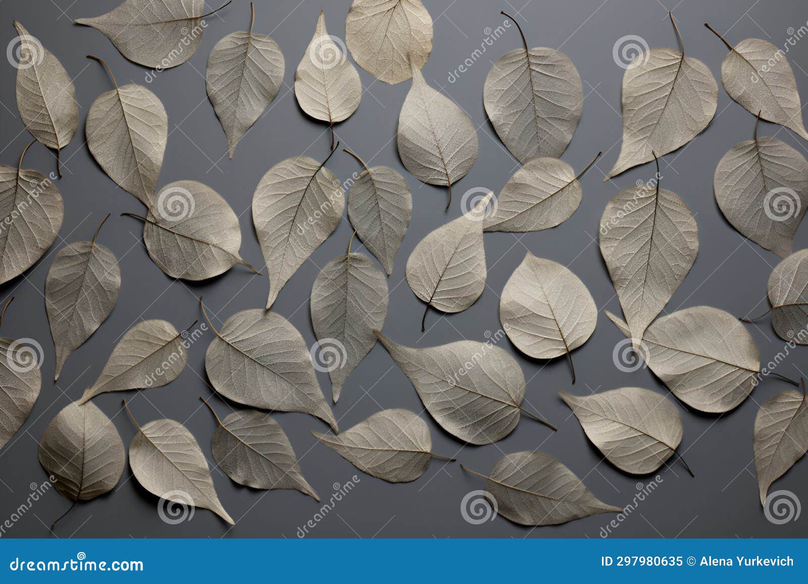 Autumn Leaves on a Grey Background Stock Image - Image of hebrarium ...
