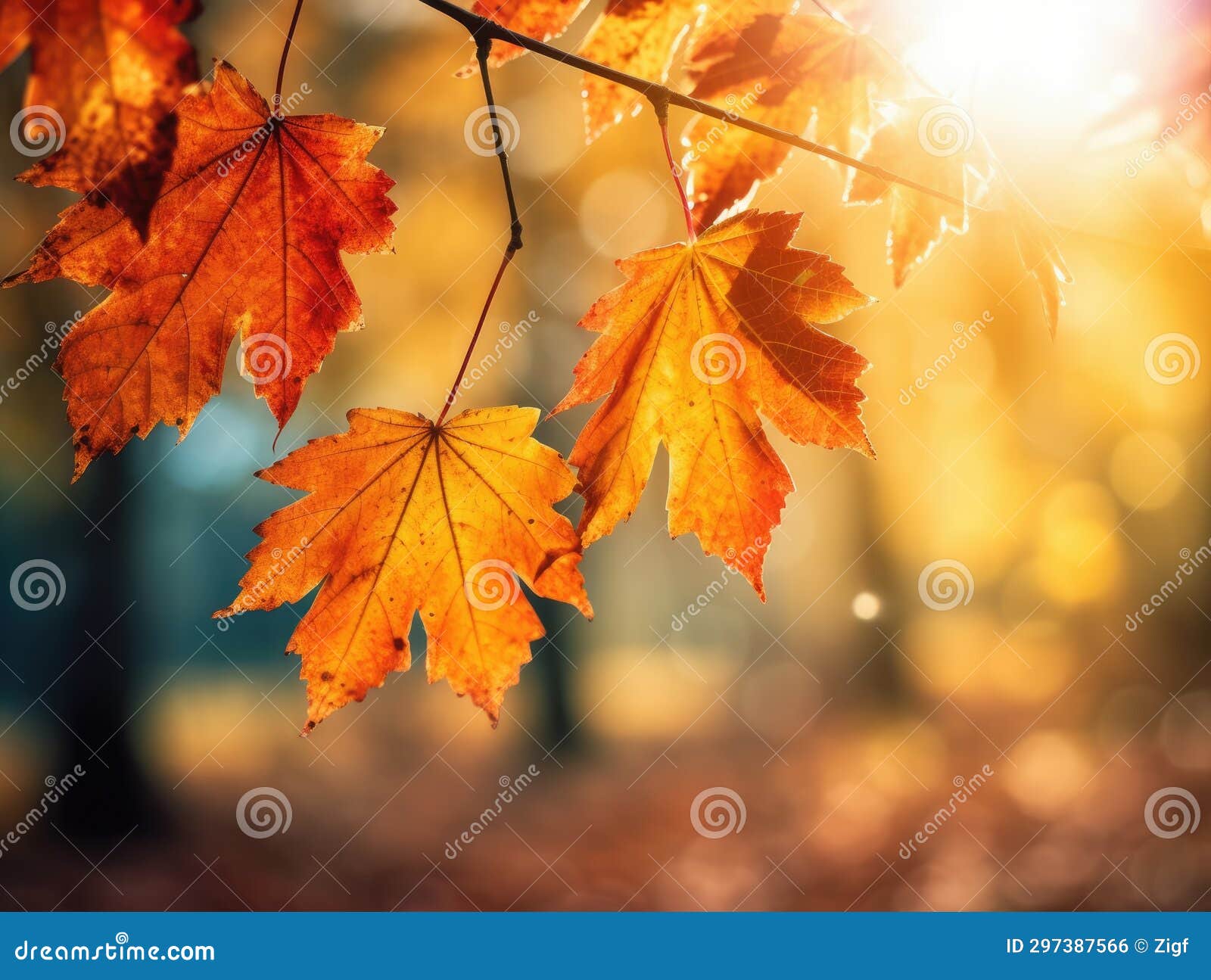 Autumn Leaves Hanging on a Branch in a Forest Stock Illustration ...