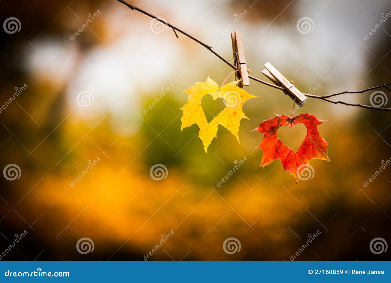 2,364 Hearts Autumn Photos - Free & Royalty-Free Stock Photos from ...