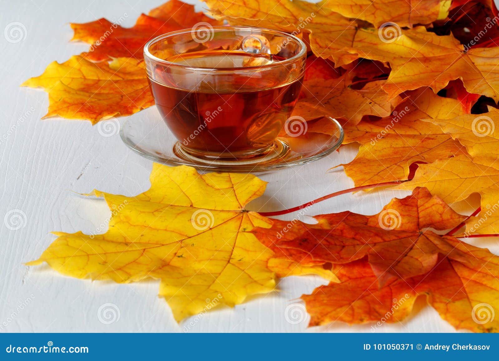 Autumn Leaves and Hot Steaming Cup of Tea Stock Image - Image of retro ...
