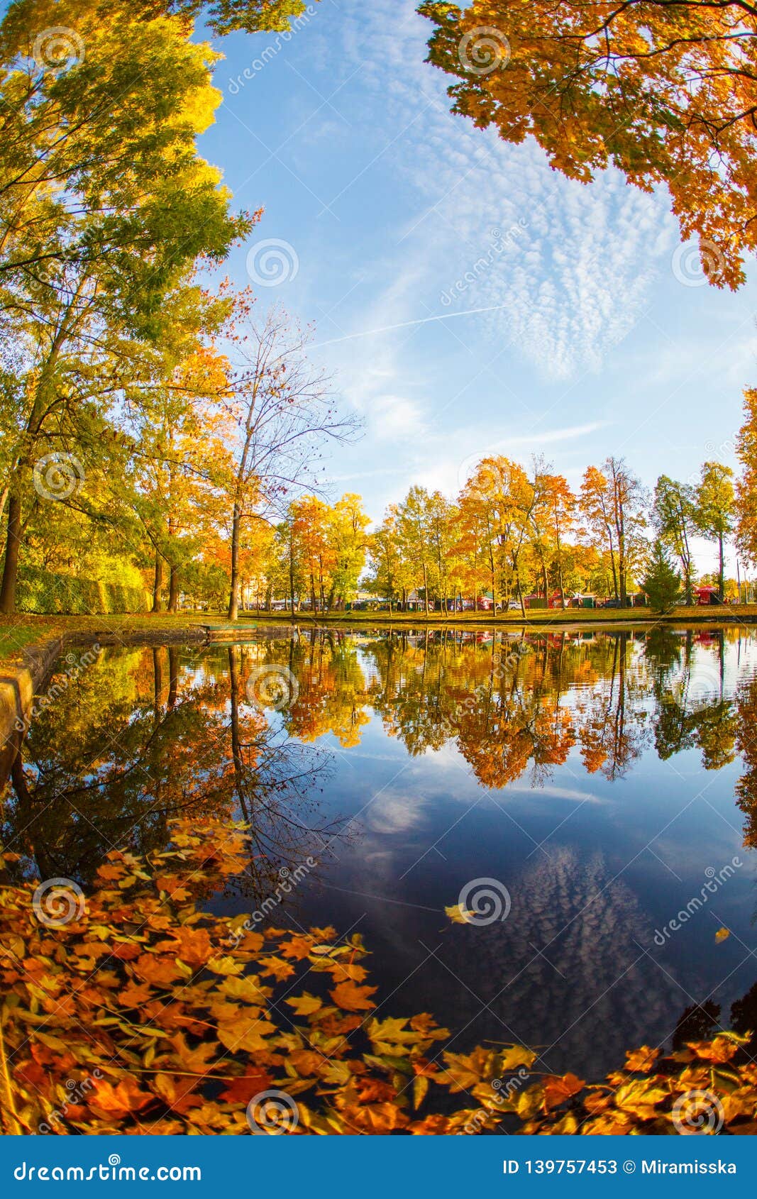 Autumn Leaves on the Water. Autumn Landscape Stock Image - Image of ...
