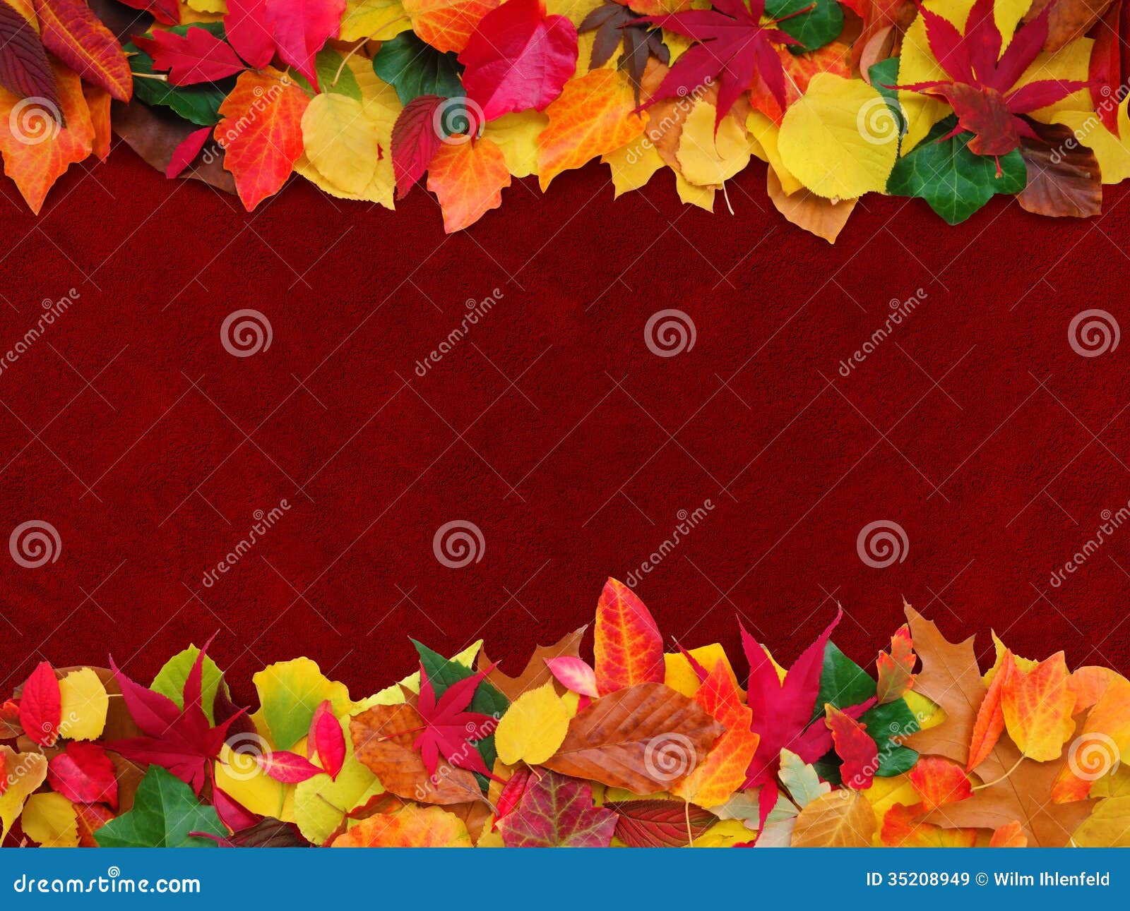 Autumn Leaves with Maroon Background Stock Image - Image of birch, fall ...