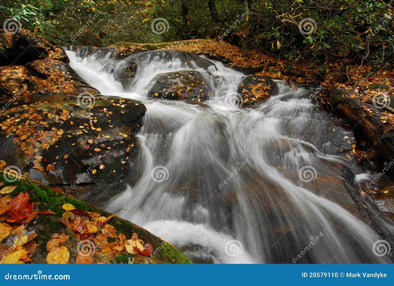 Autumn Leaves and Mountain Streams Stock Photo - Image of waterfall ...