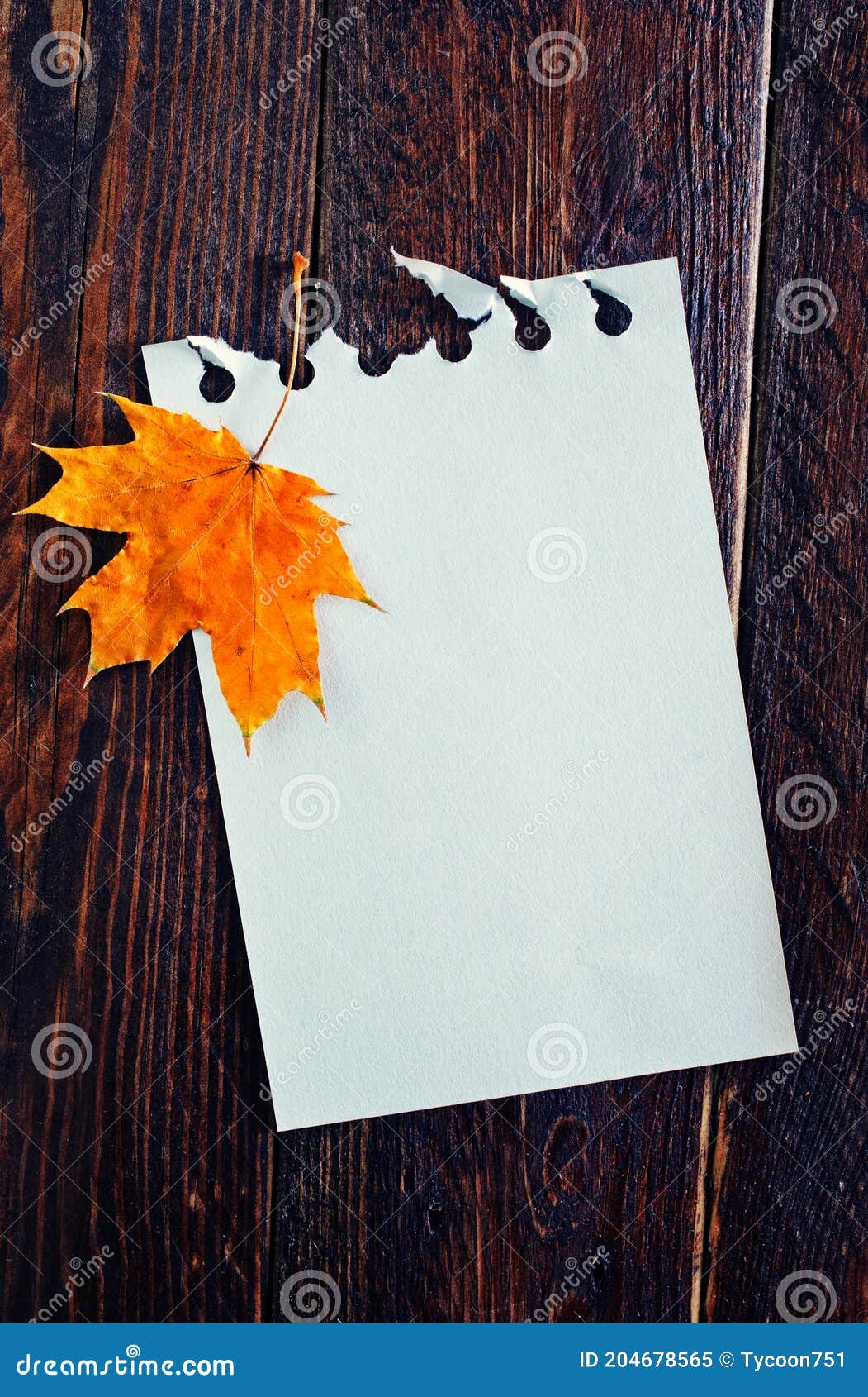 Autumn background stock image. Image of chalk, heat - 204678565