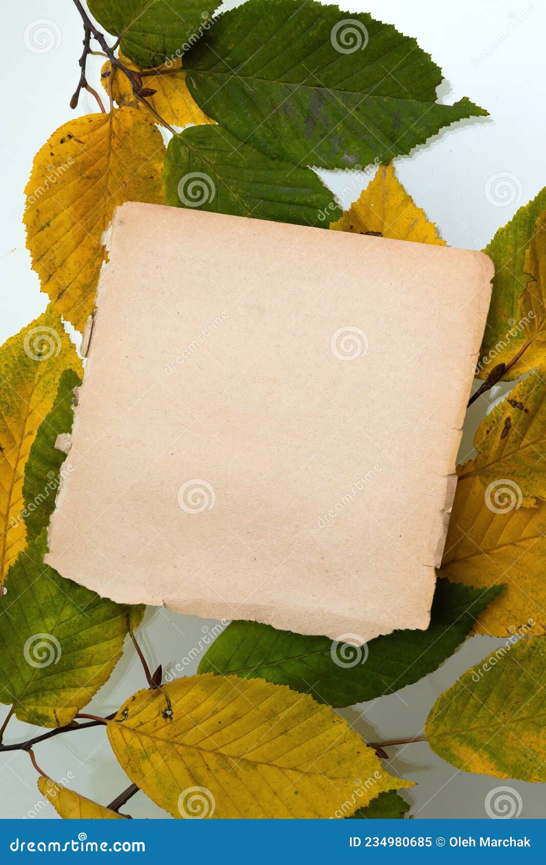 Autumn Leaves on the Old Paper Sheet Isolated on White Stock Image ...