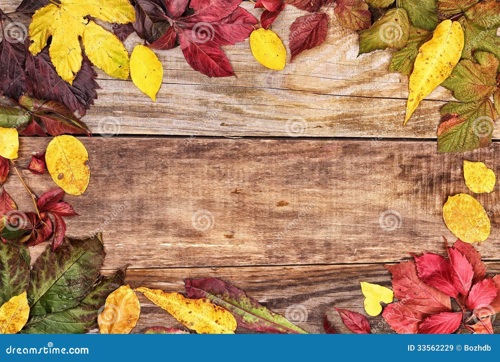 Autumn leaves on old wood stock image. Image of fall - 33562229