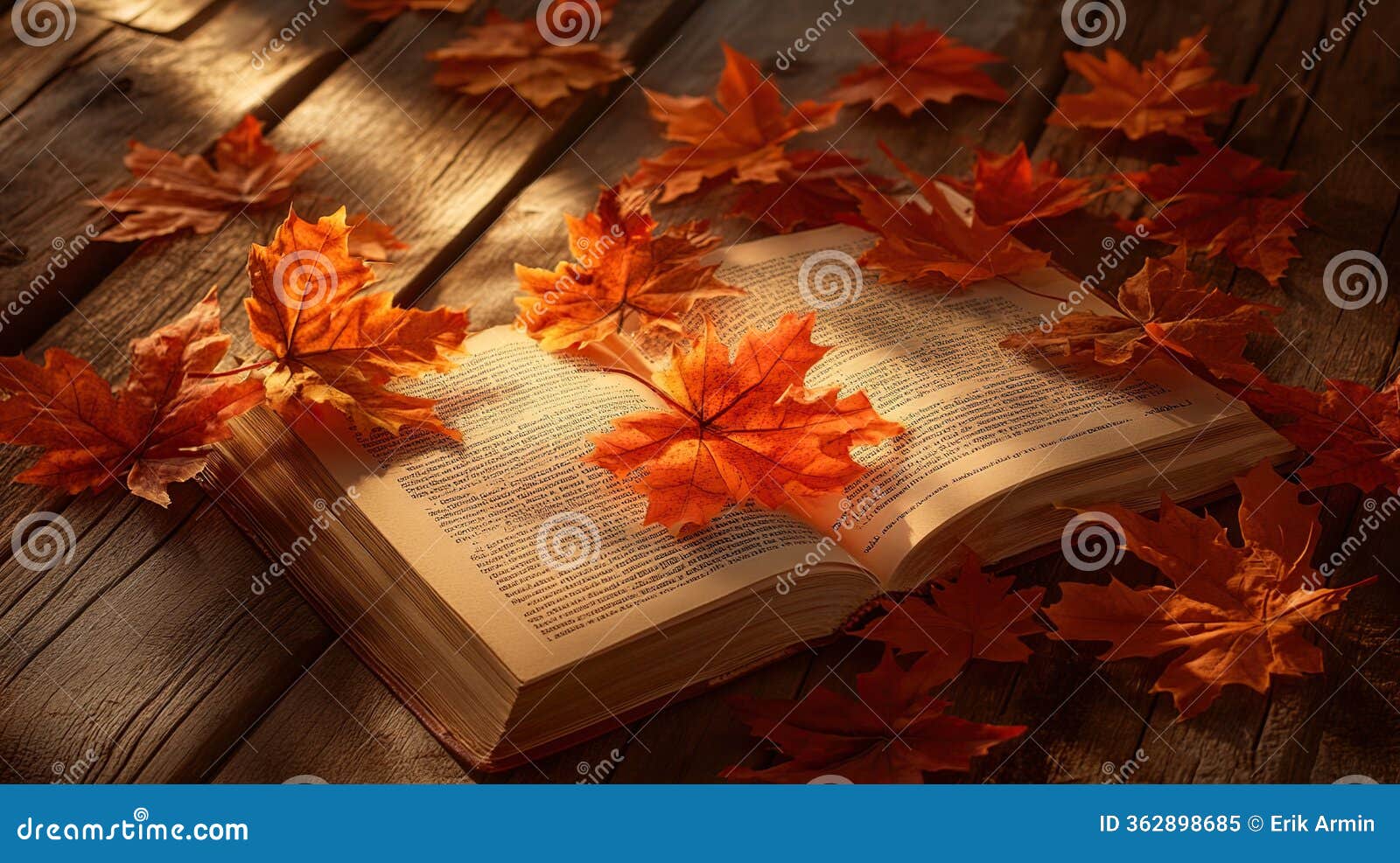 Autumn Leaves on Open Book, Wood Background, Sunlight Stock Image ...