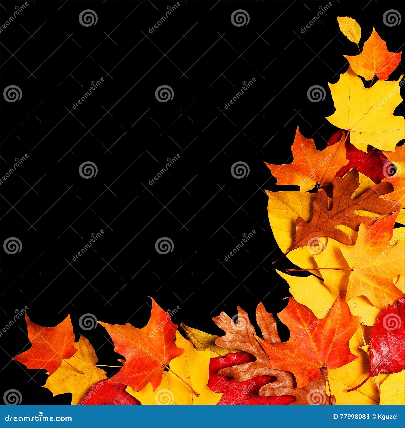 Autumn Leaves Over Black Background Stock Image - Image of colored ...