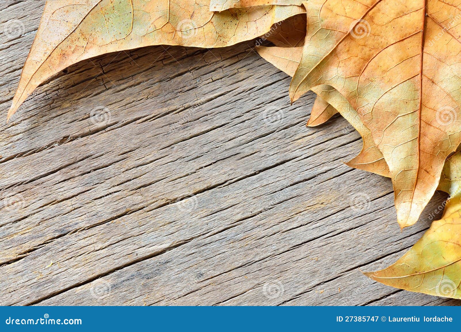 Autumn Leaves Over Wood Background Stock Image - Image of fall, frame ...