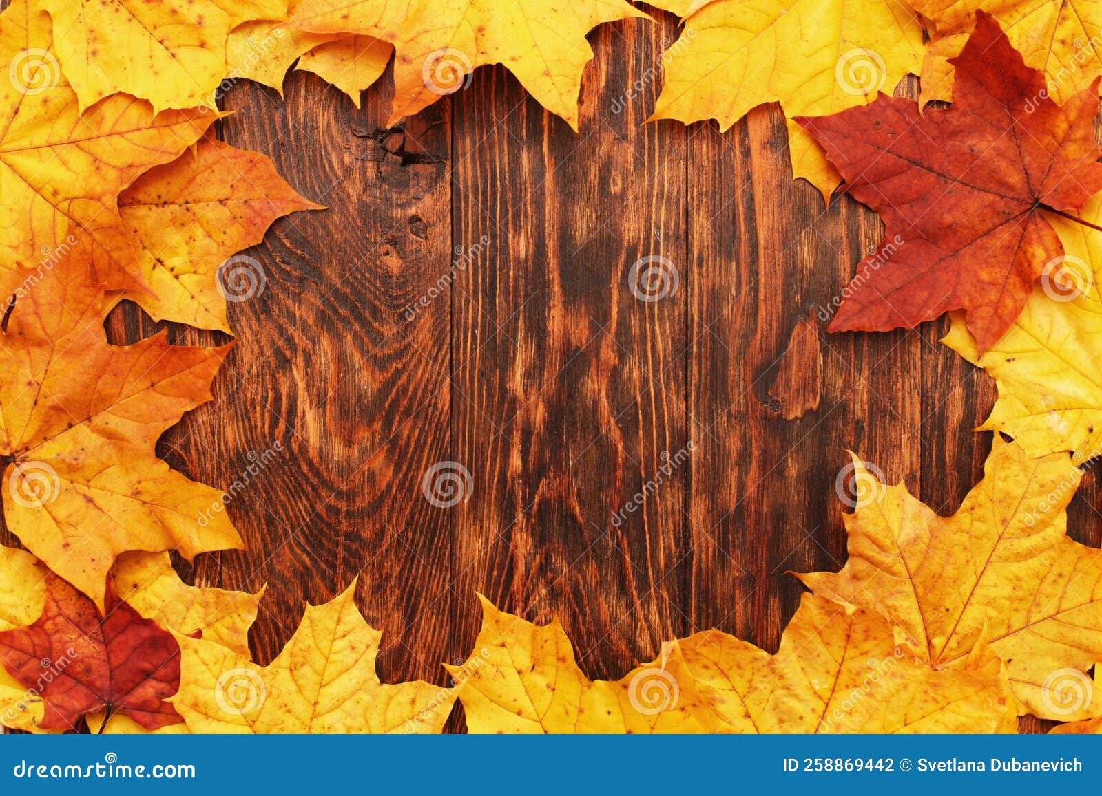 Autumn Leaves Over Wooden Background. Autumn Leaves Frame Stock Photo ...