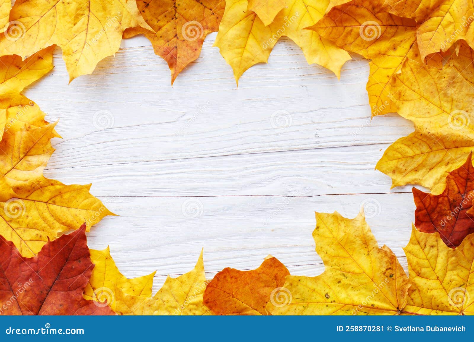 Autumn Leaves Over Wooden Background. Autumn Leaves Frame Stock Image ...