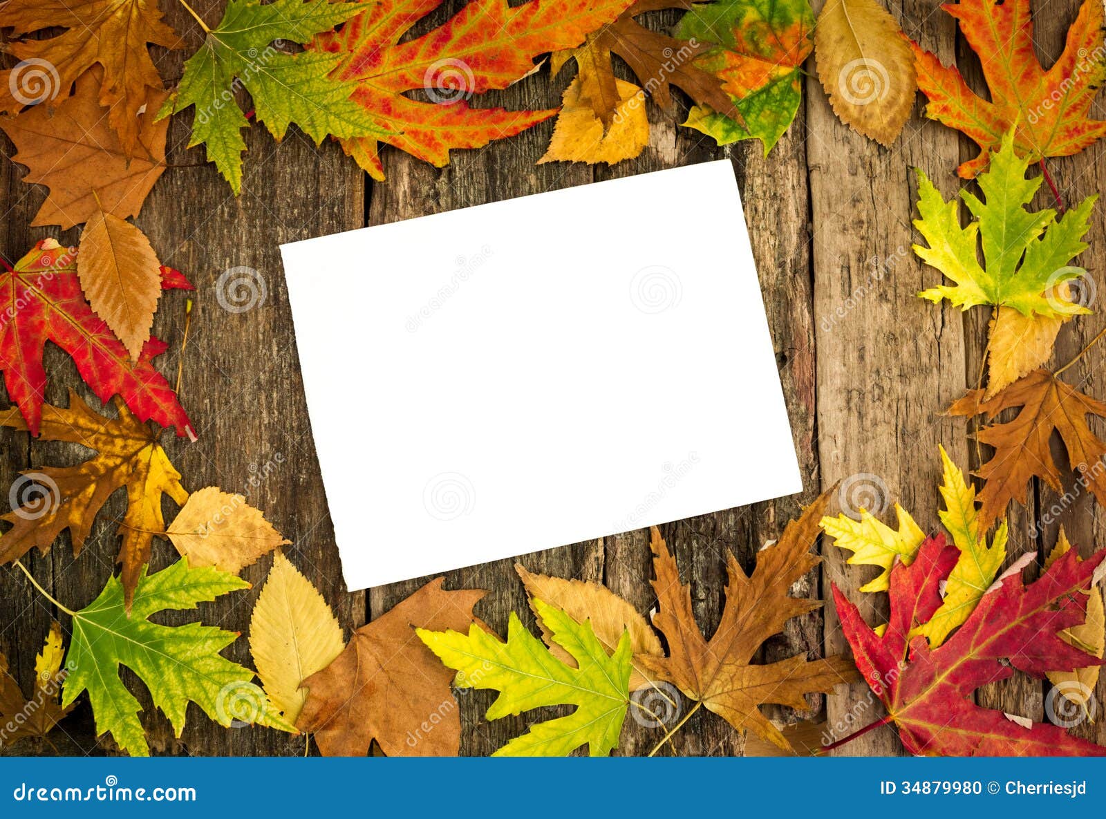 Autumn leaves with paper stock photo. Image of copy, copyspace - 34879980