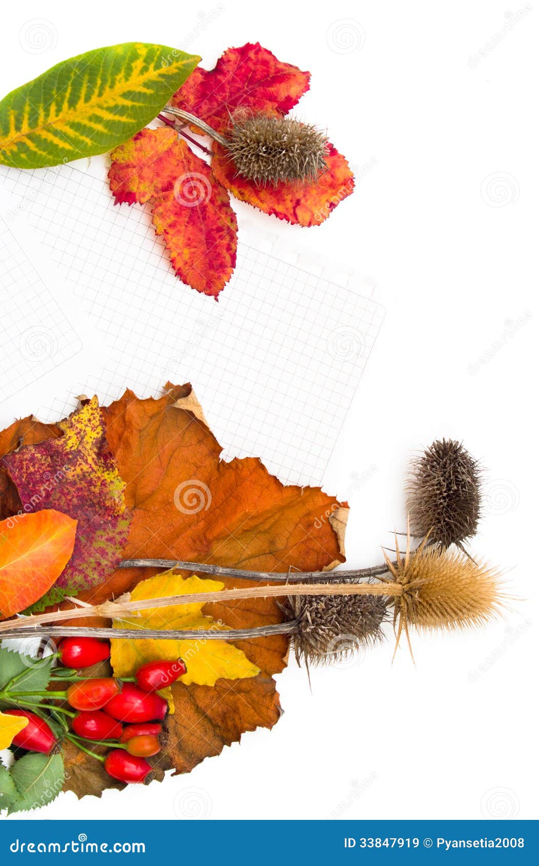 Autumn Leaves and Paper for Notes. Stock Image - Image of nature, leaf ...