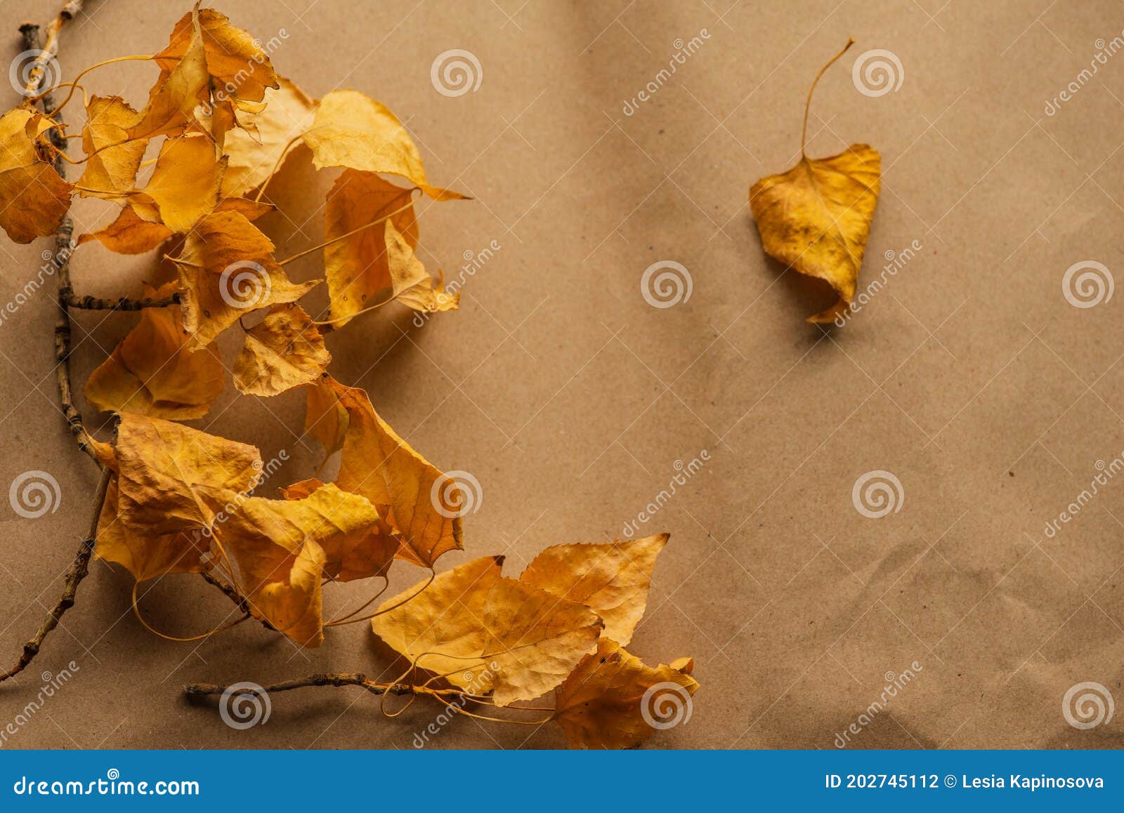 Autumn Leaves on the Paper Sheet. Autumn Leaf on Paper Background Stock ...