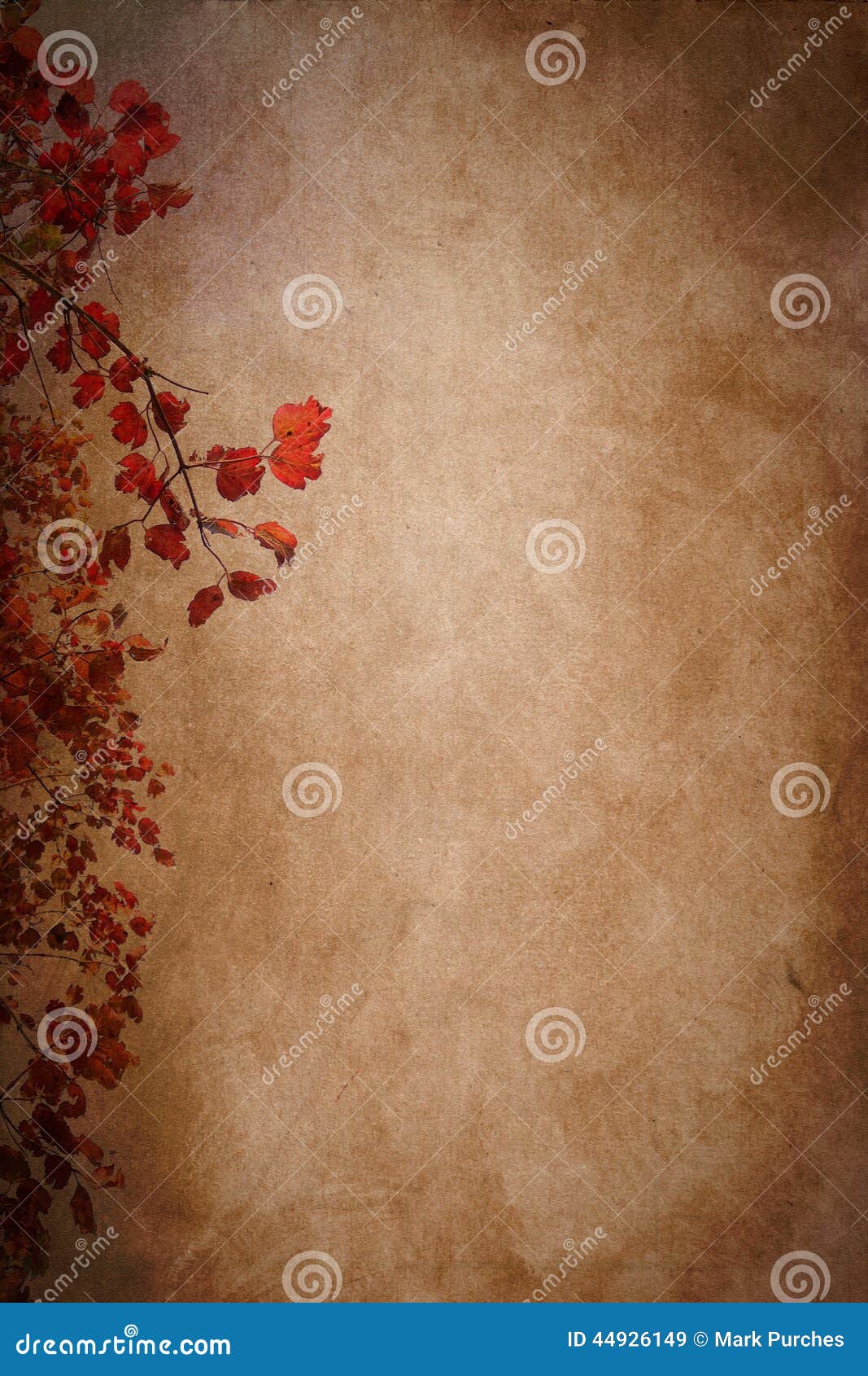 Autumn Leaves Paper Texture Background Stock Image - Image of page ...